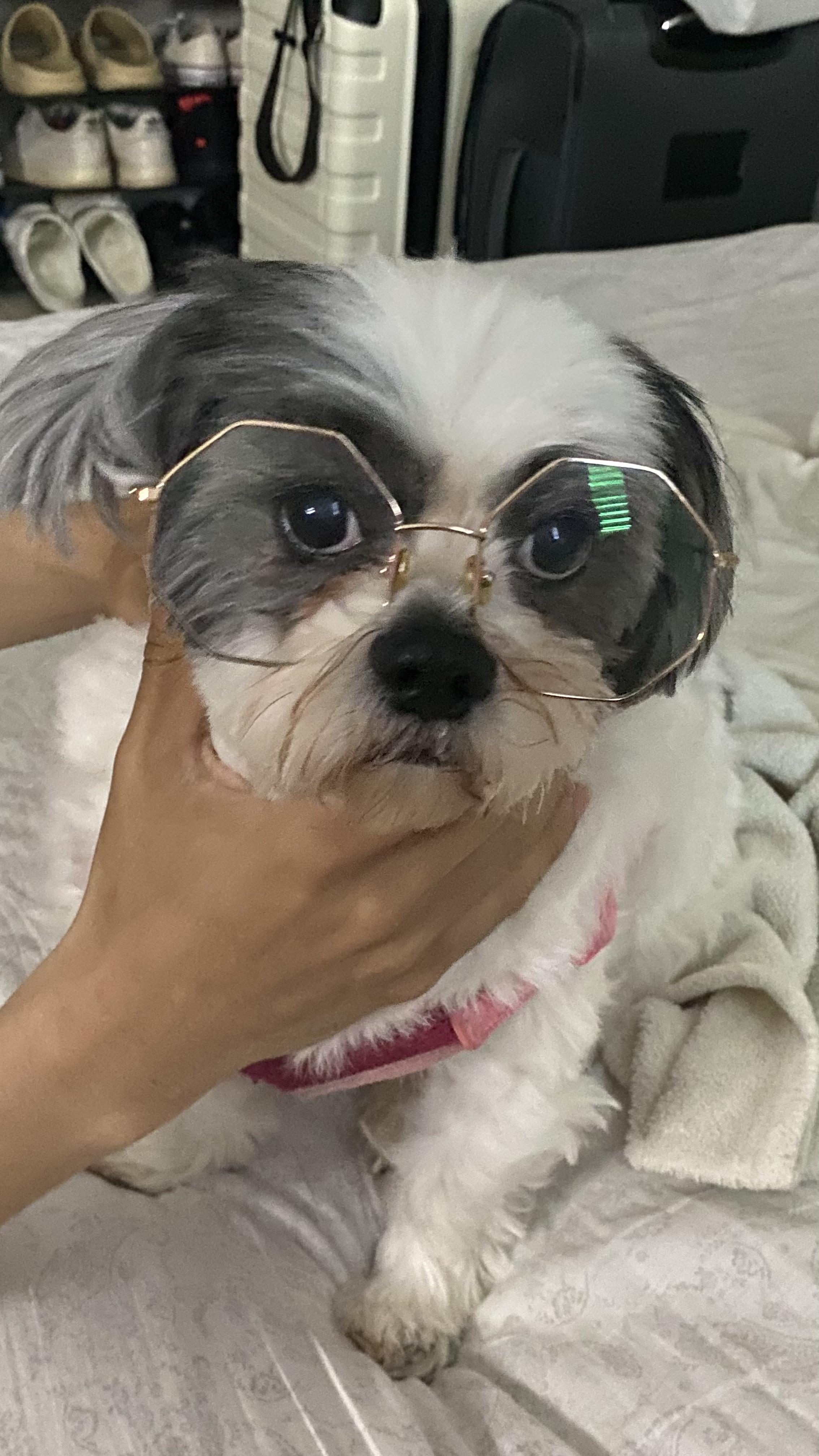 Mr . Toby | Scrolller