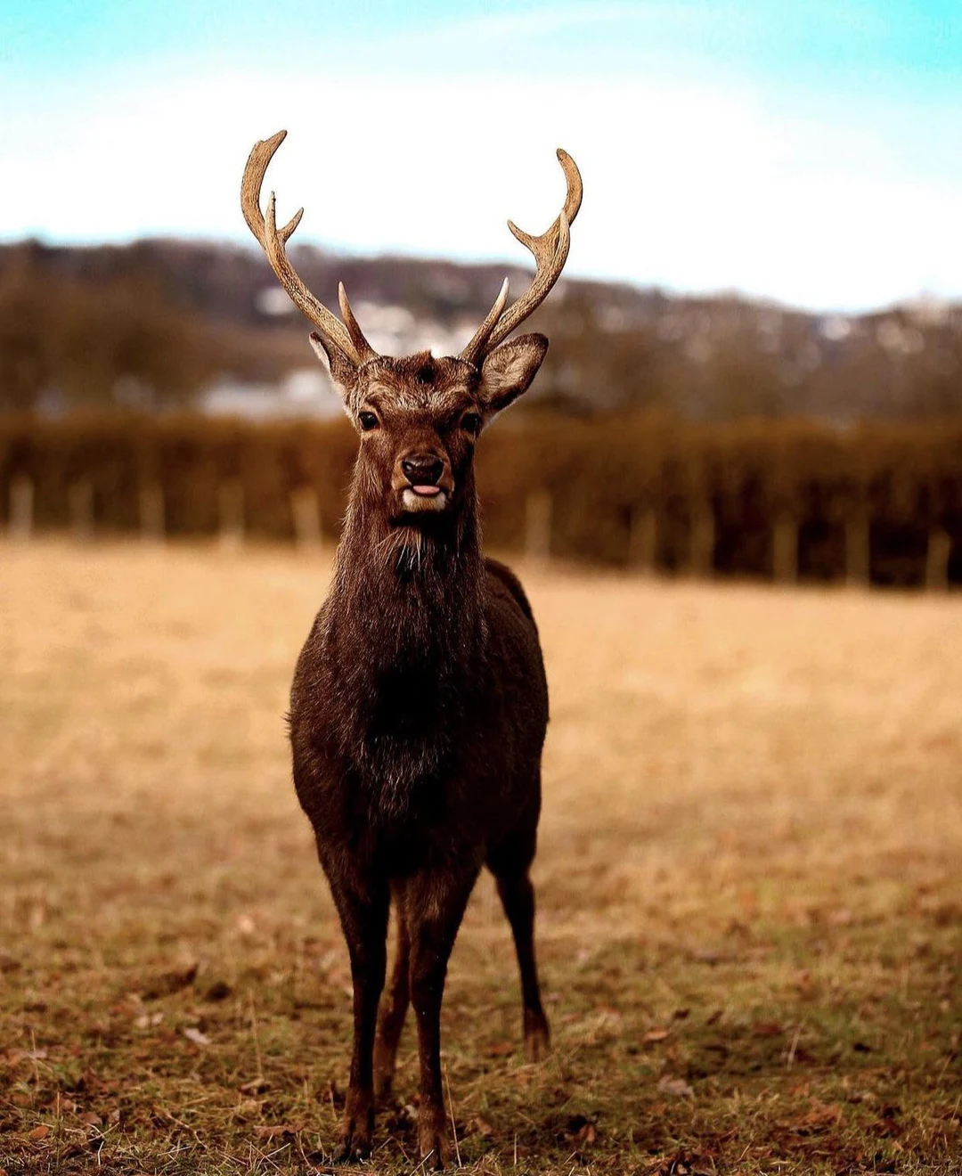 Deel with details | Scrolller