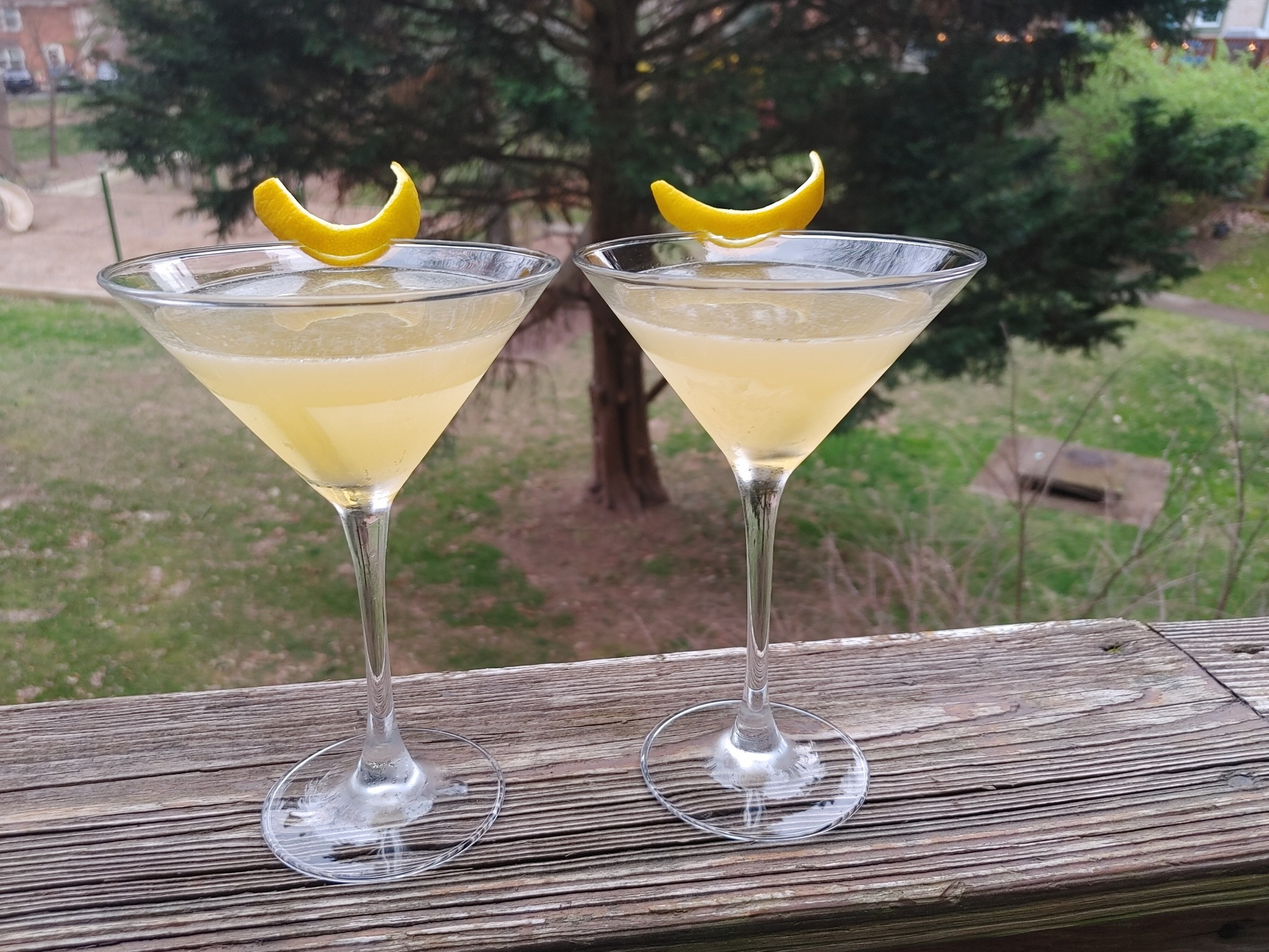 Star Daisy | Scrolller