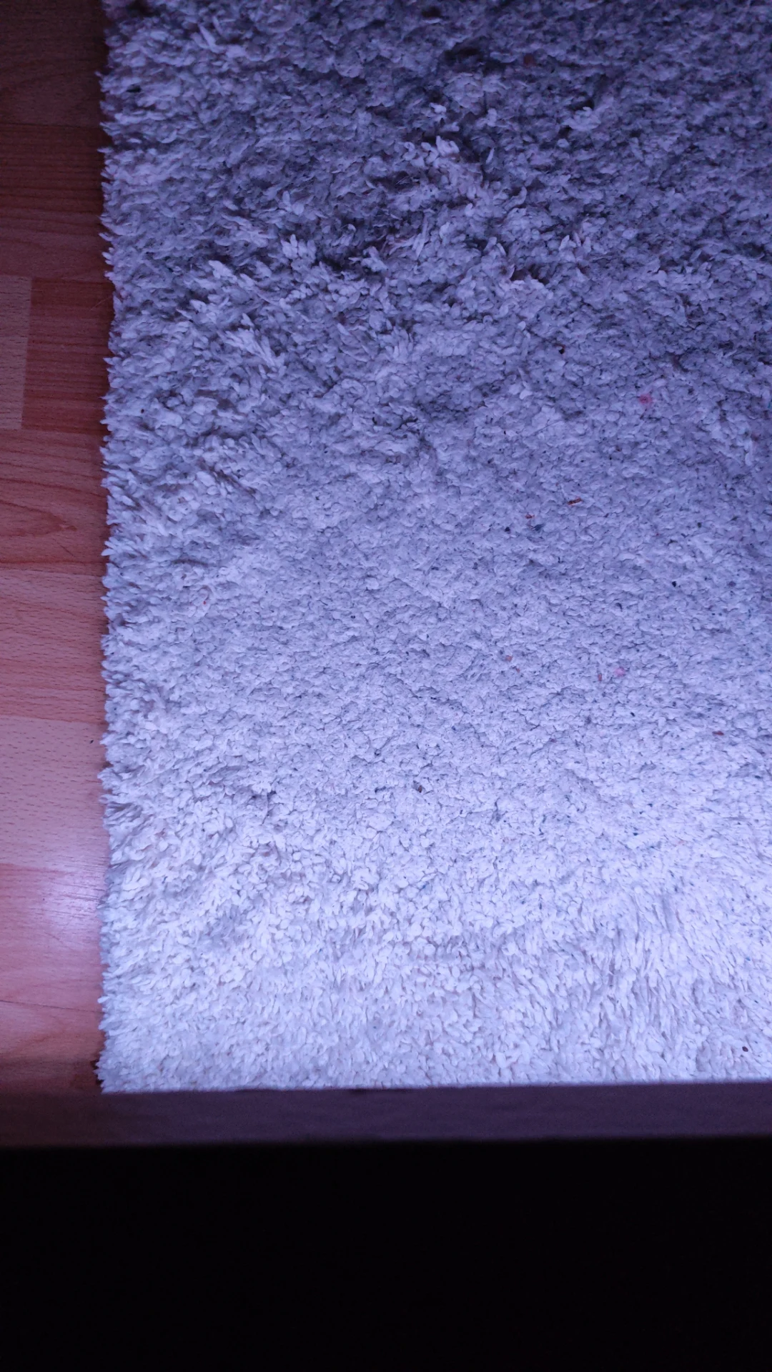 The lights under my bed and my carpet rug | Scrolller