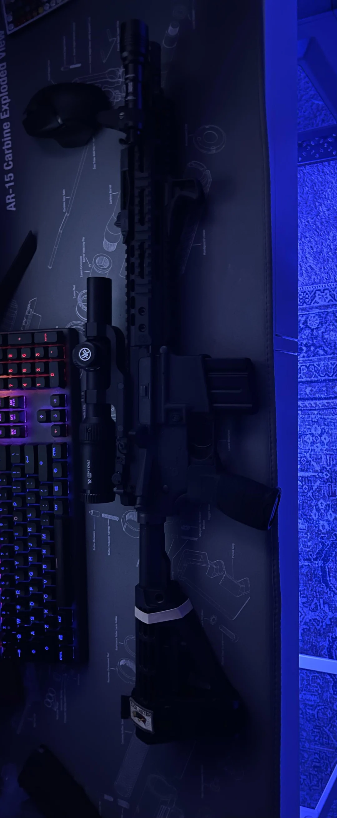 Forget internet drama return to monke | Scrolller