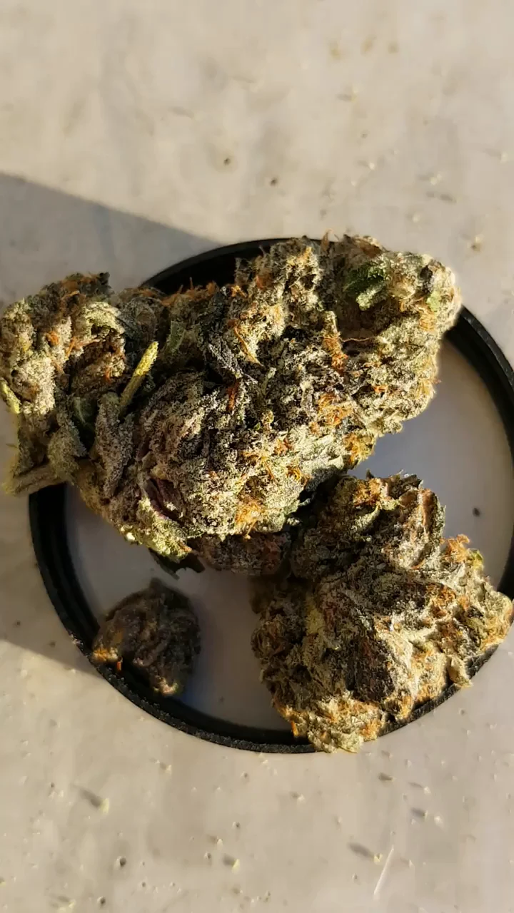 Ghost Ship OG | Scrolller