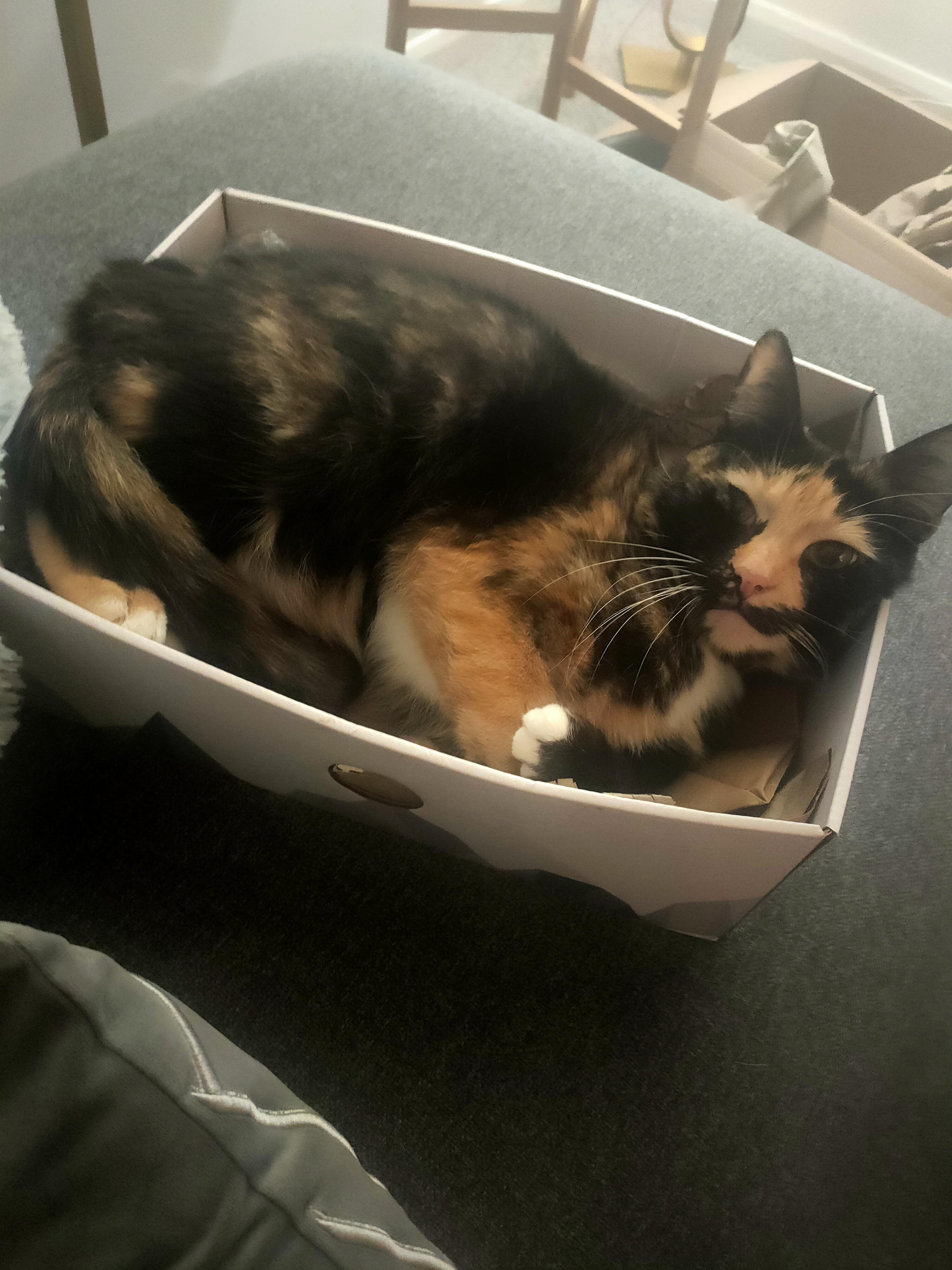 Queen Bean being a hot potato! | Scrolller