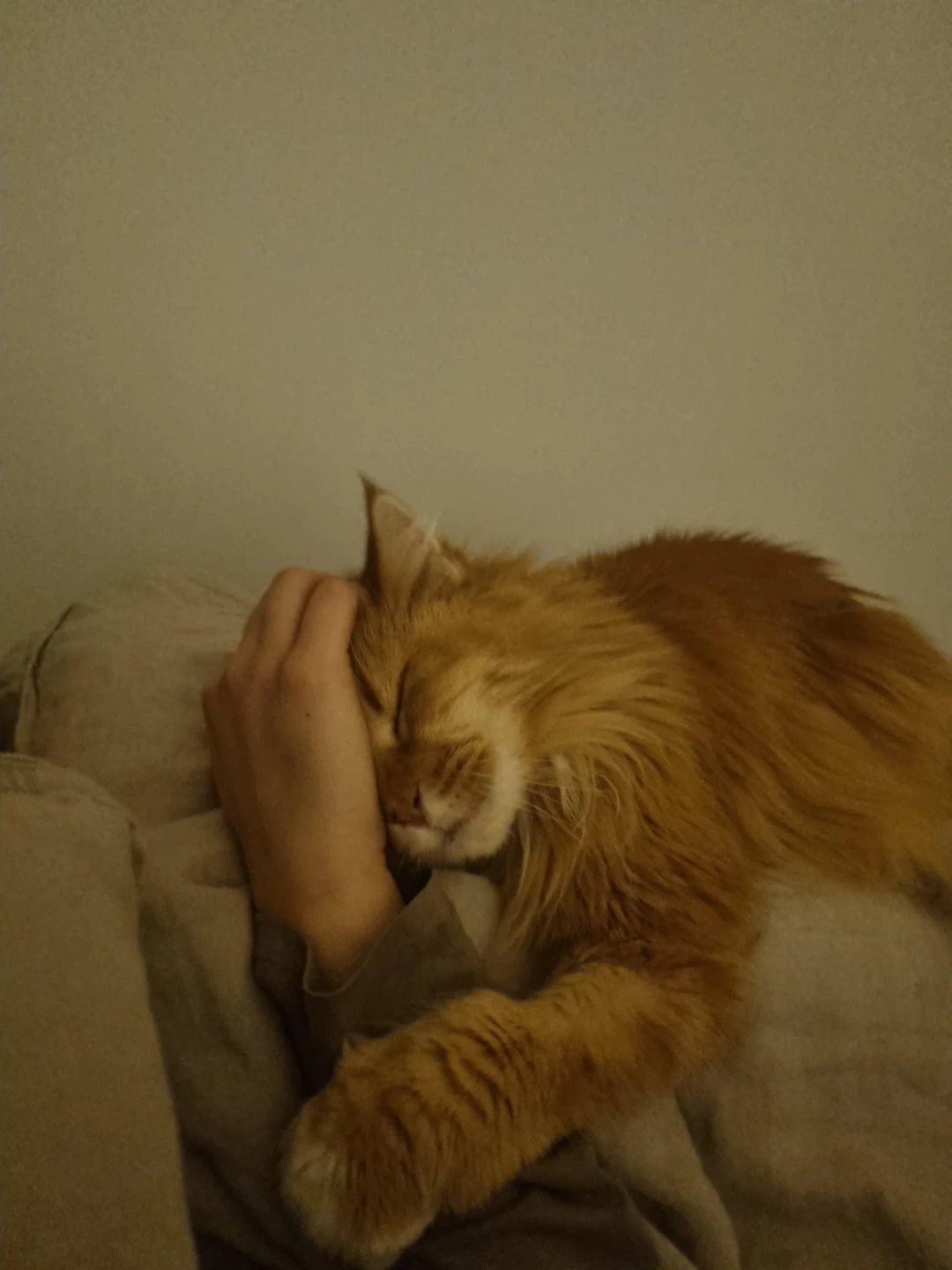 more scratches please | Scrolller