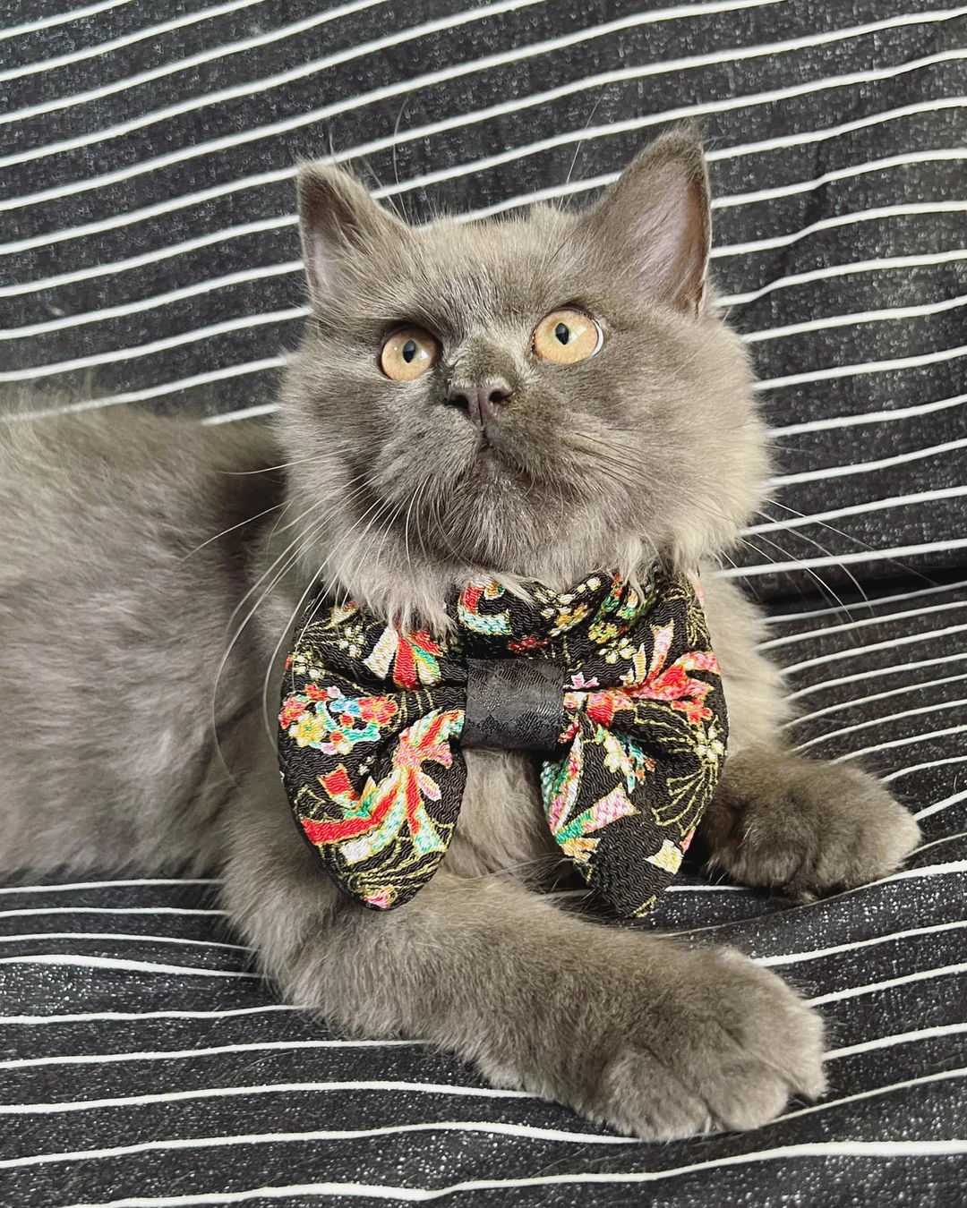 Going for his first job interview. | Scrolller