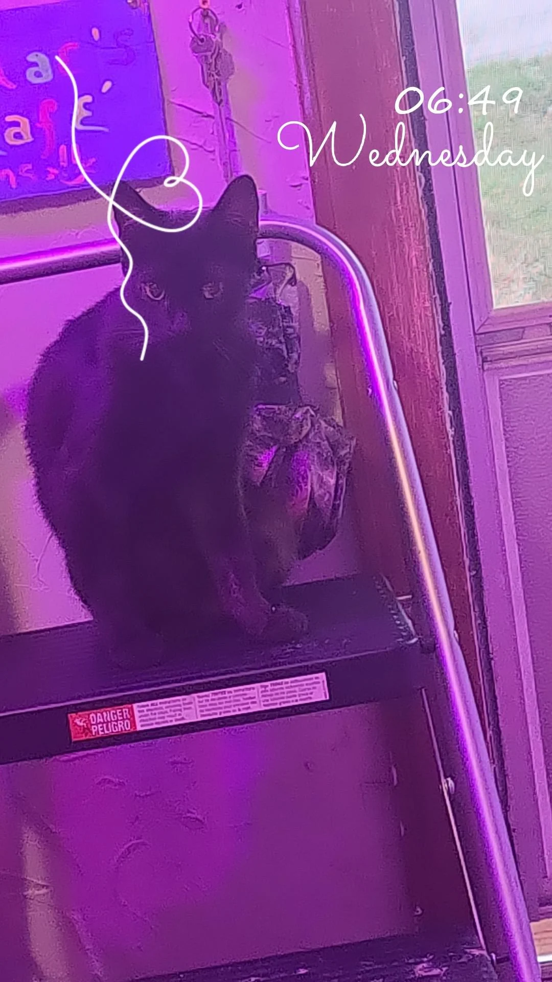 Trapped & Dangerous! | Scrolller