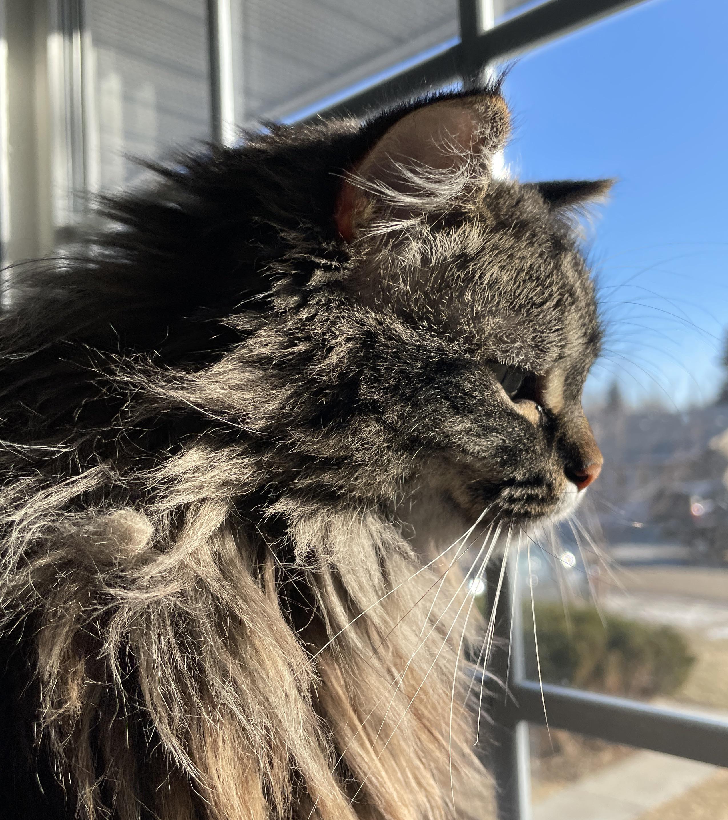 Post nap sunshine | Scrolller