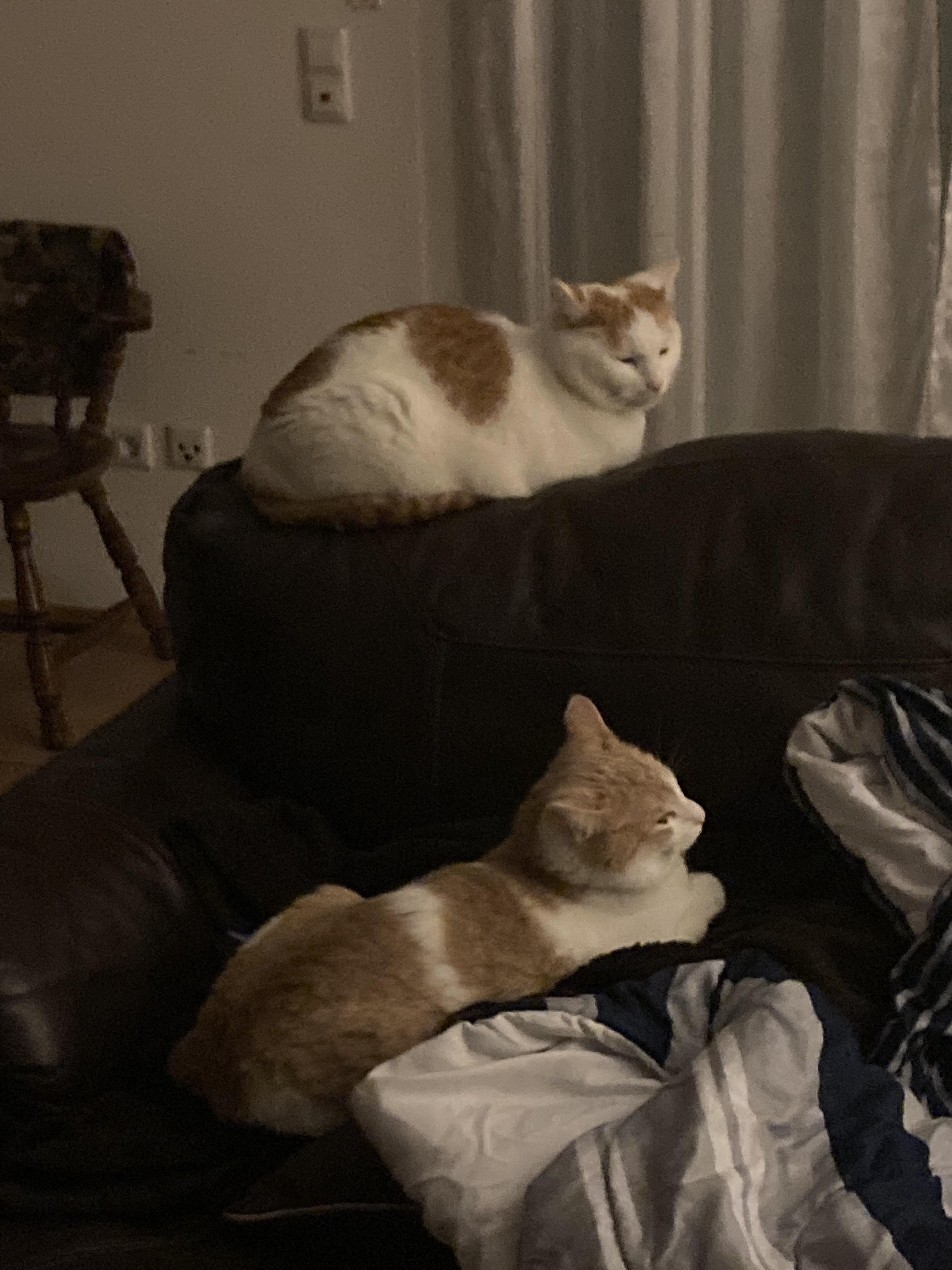 Loaves on different levels. | Scrolller