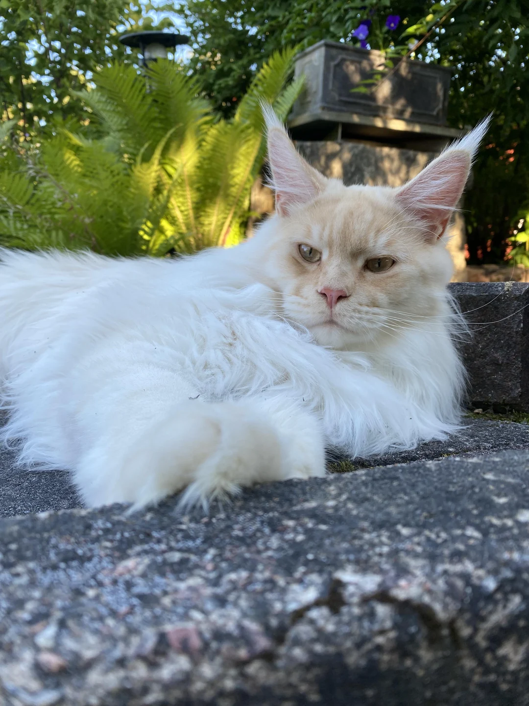 My handsome marshmallow 💓 | Scrolller