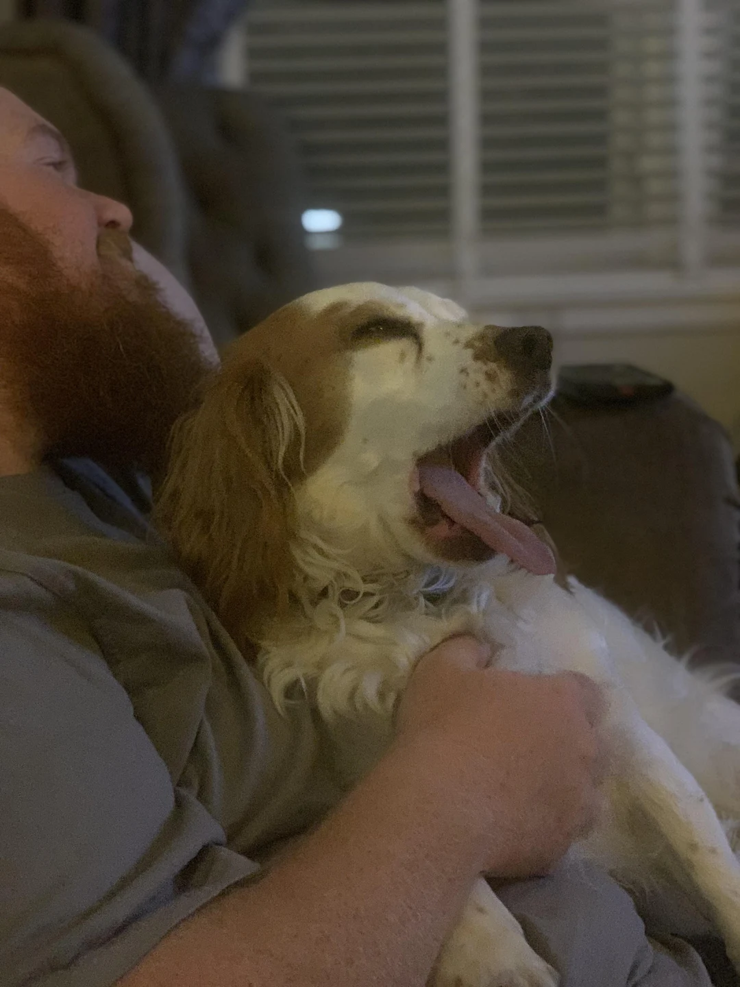 Cute mid-yawn snap gone wrong | Scrolller