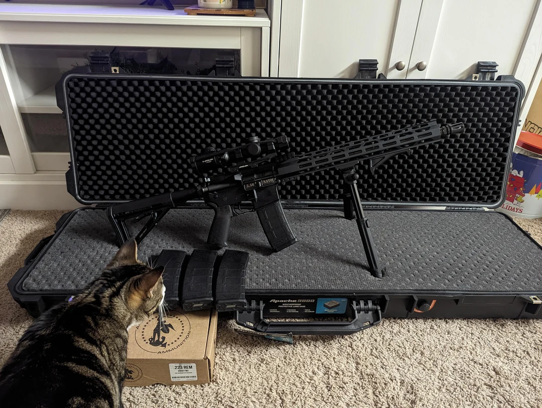 First AR | Scrolller