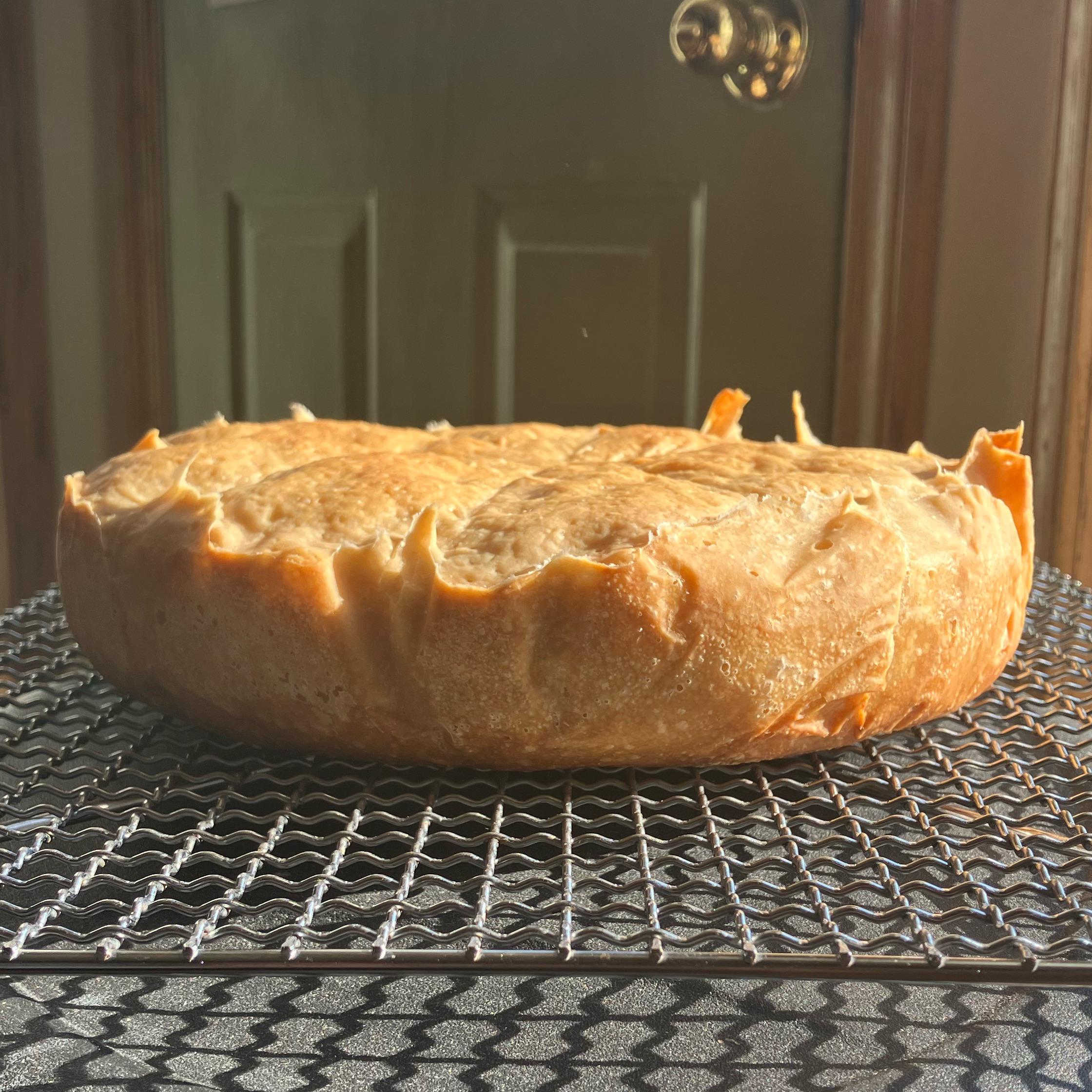 Why is my bread shrinking when it bakes? | Scrolller