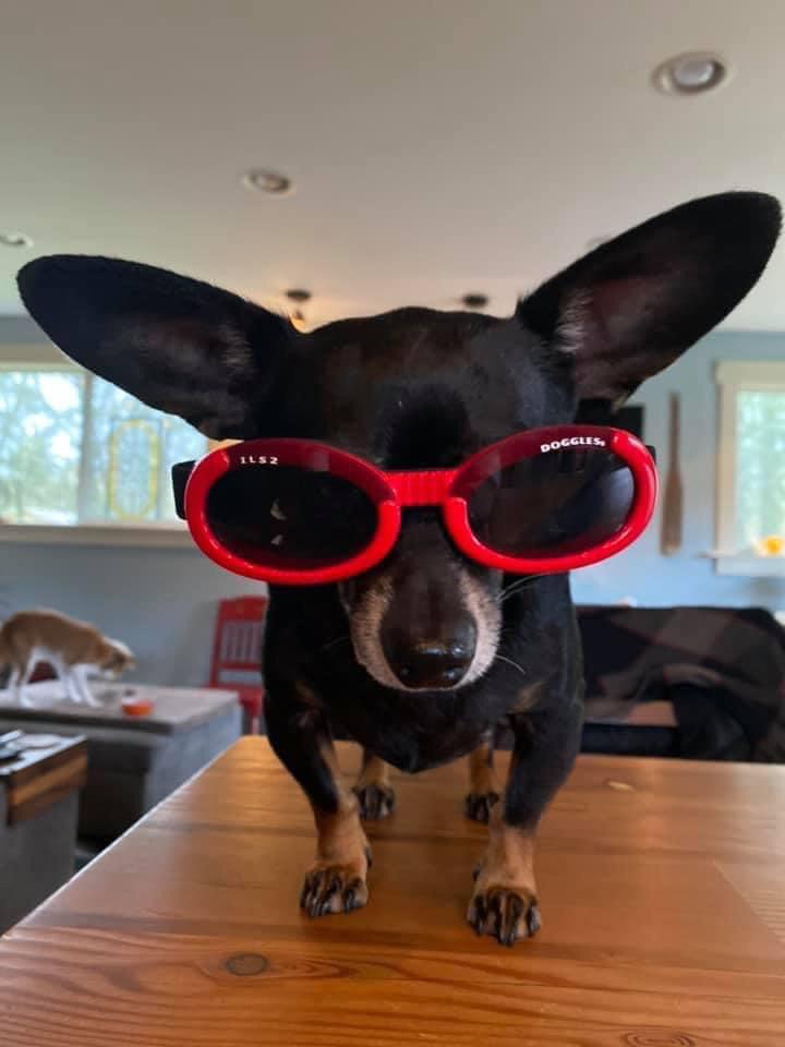 Maverick cleared for takeoff | Scrolller