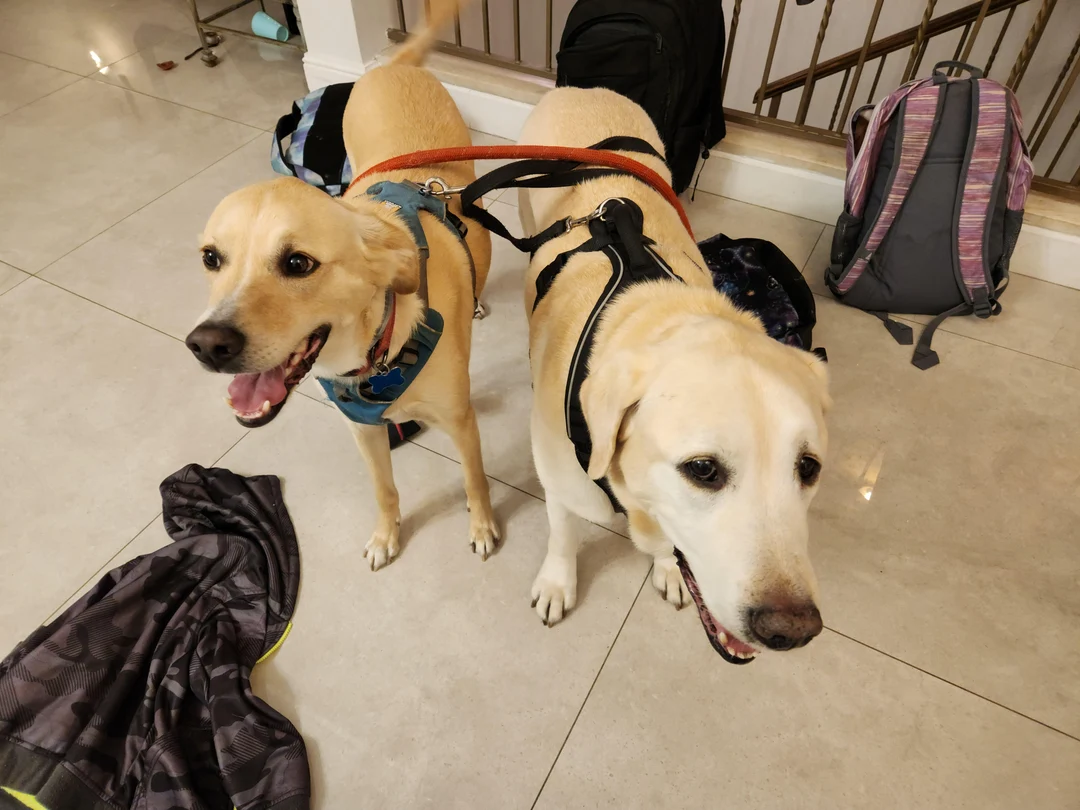 Double Trouble v2! | Scrolller