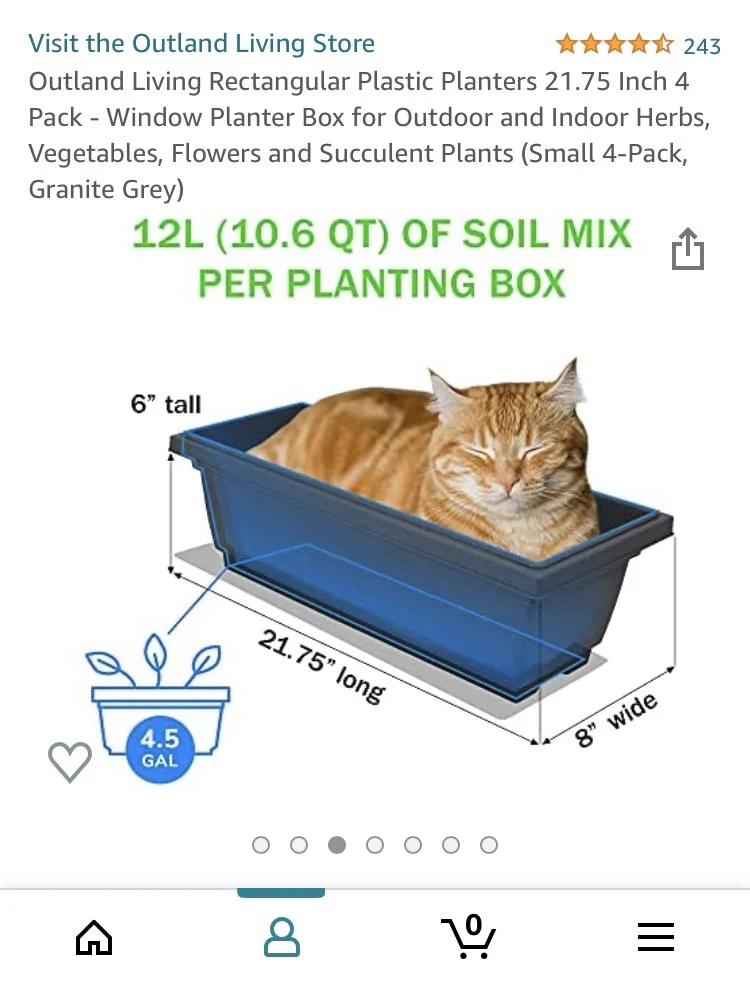 Potted cat on Amazon | Scrolller