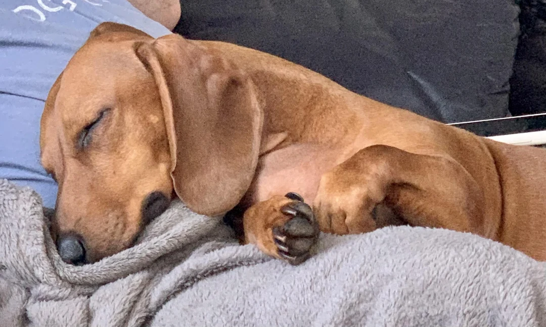 So comfy cozy | Scrolller