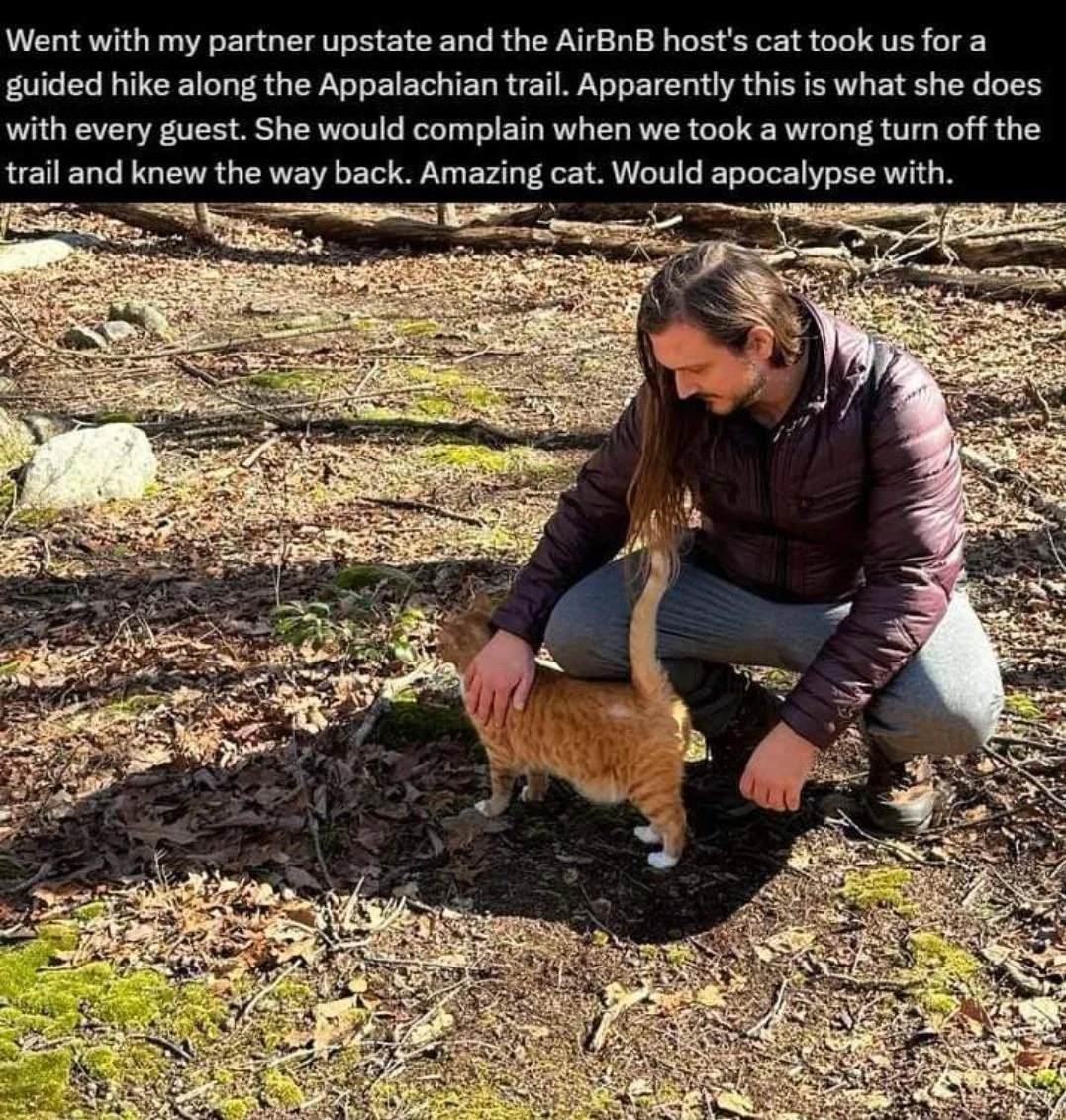 Tour Guide | Scrolller