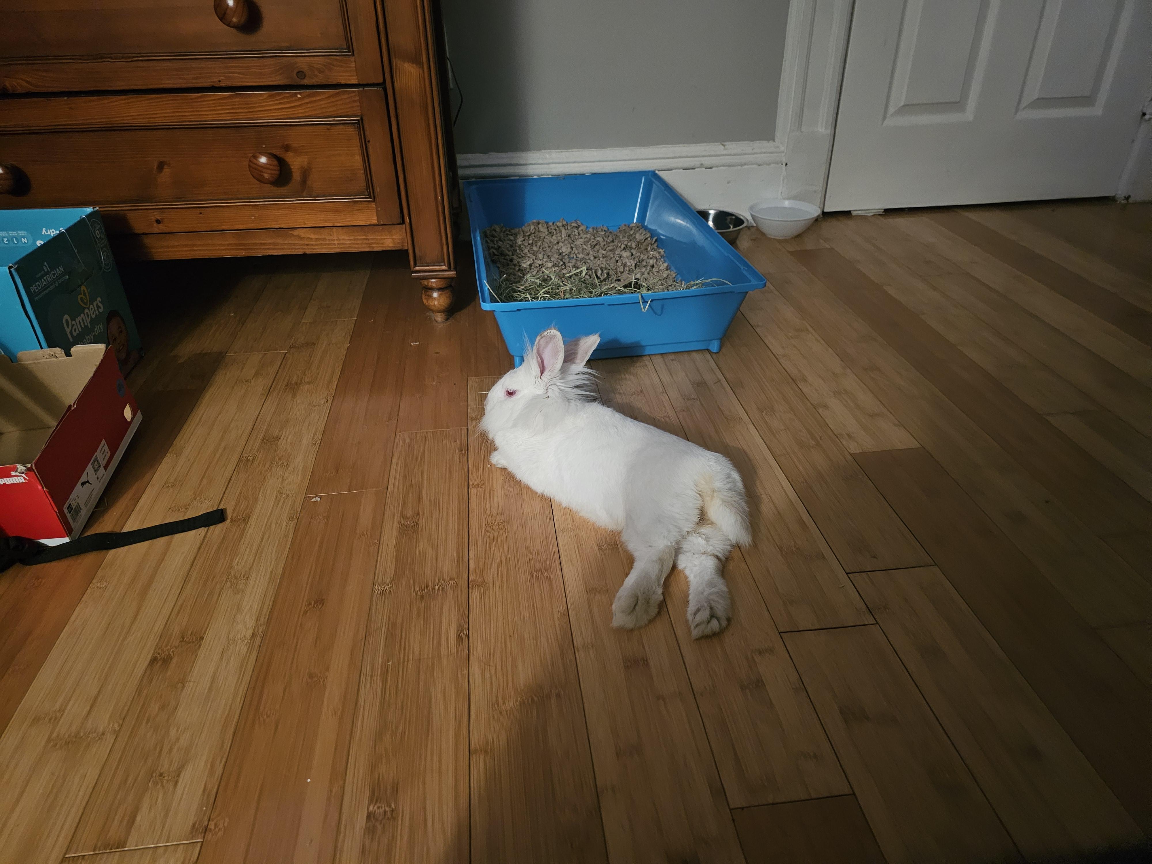 Opinions | Scrolller