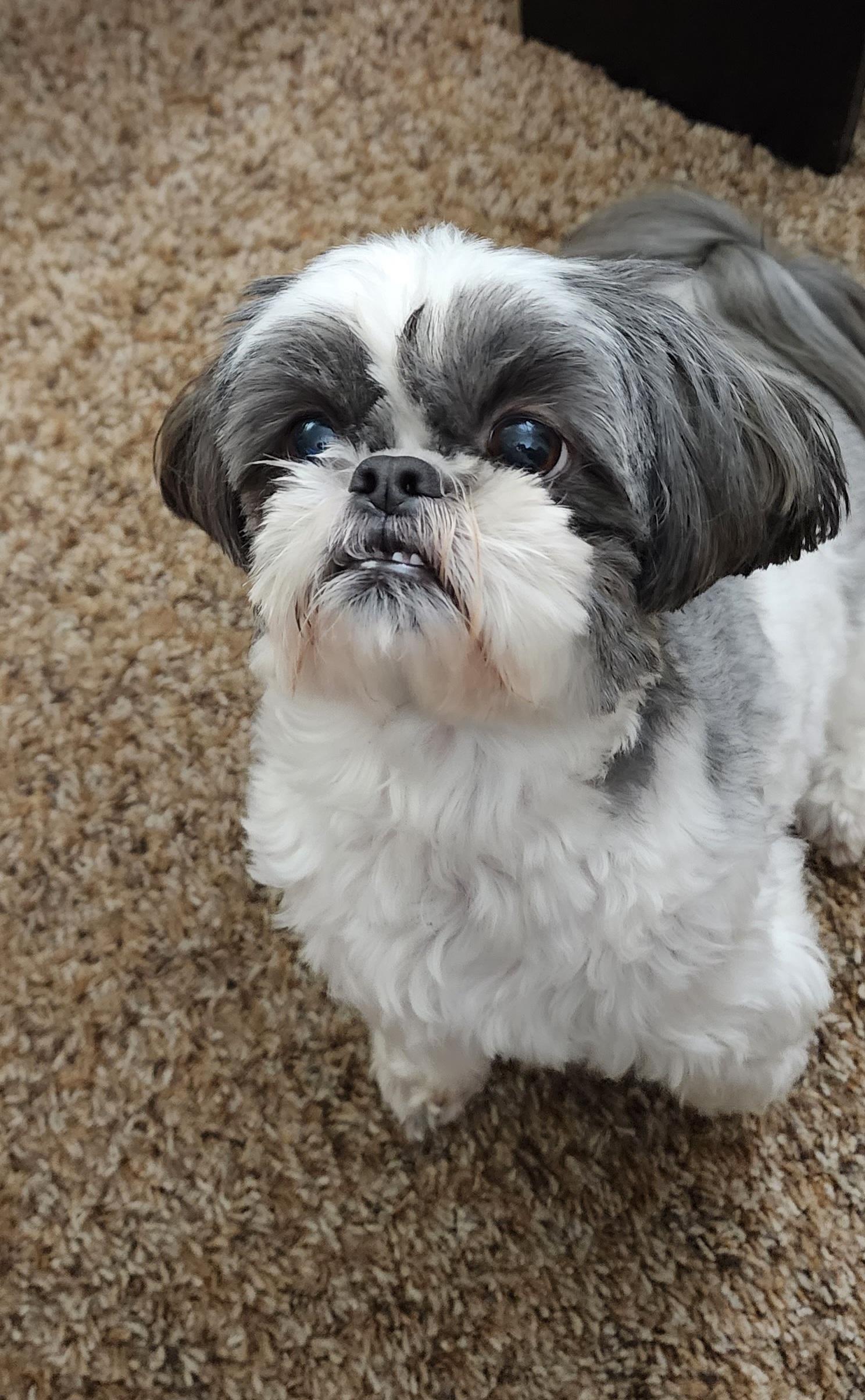 Harlee and her crooked teefers | Scrolller