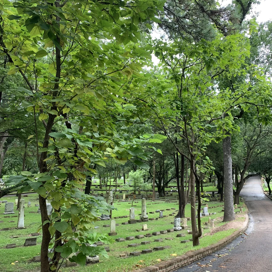 Houston, Texas | Scrolller