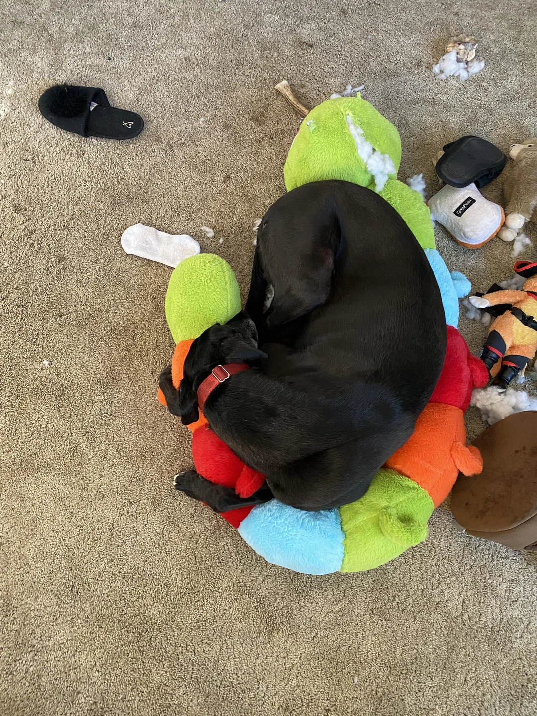 As you can see, it’s a love-hate relationship | Scrolller