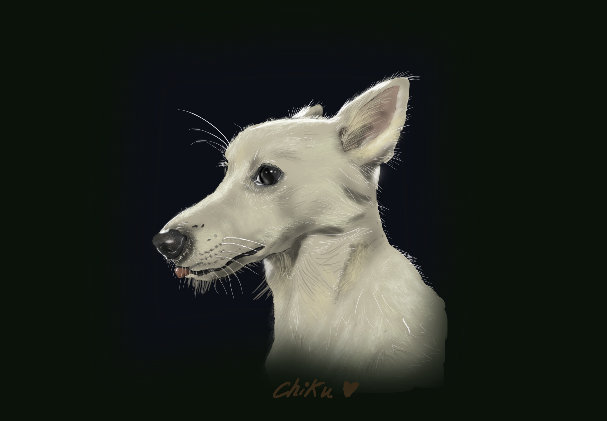 Chiku, hiddenRambo, Digital, 2025 | Scrolller