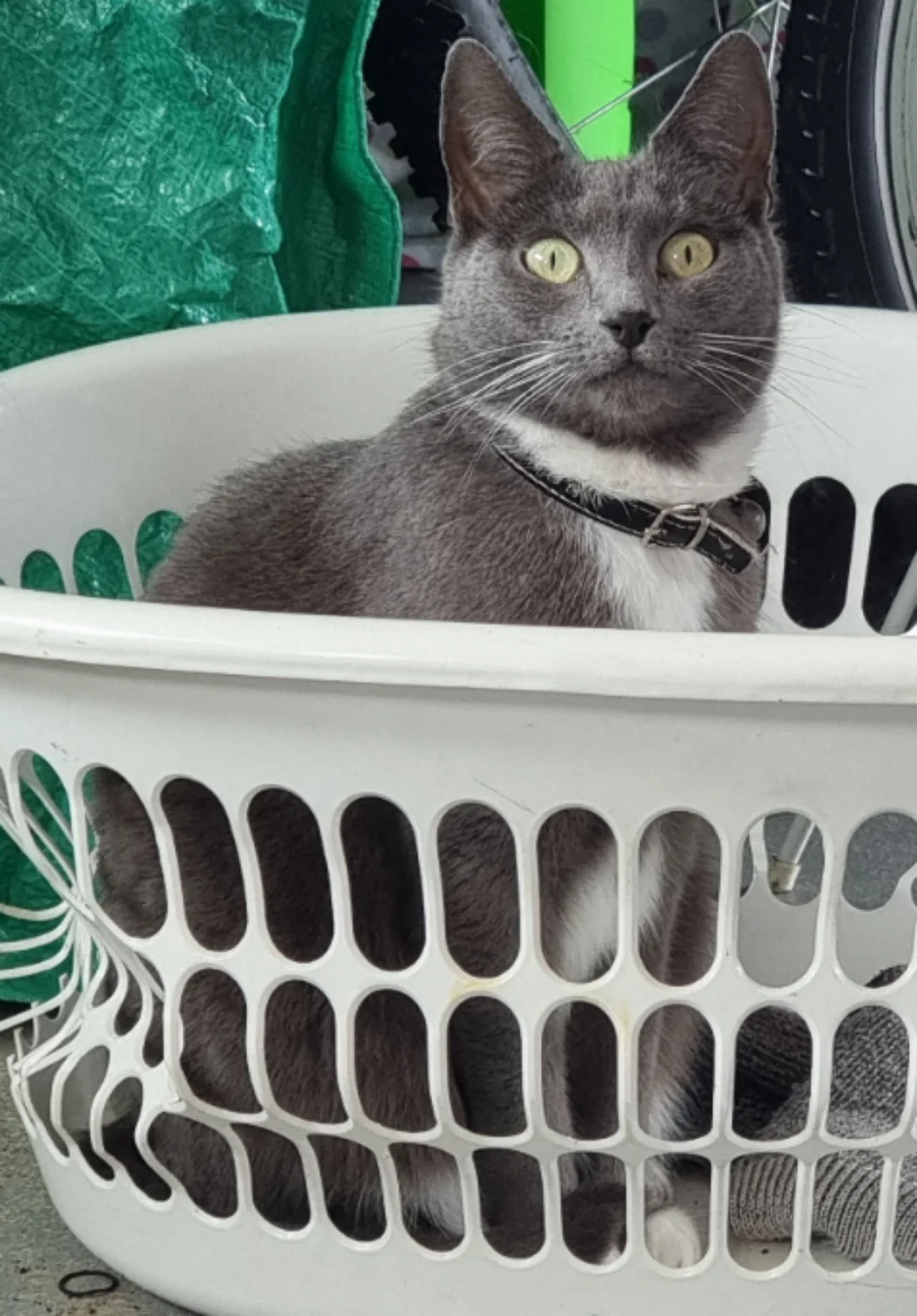 Trapping you with her eyes... | Scrolller