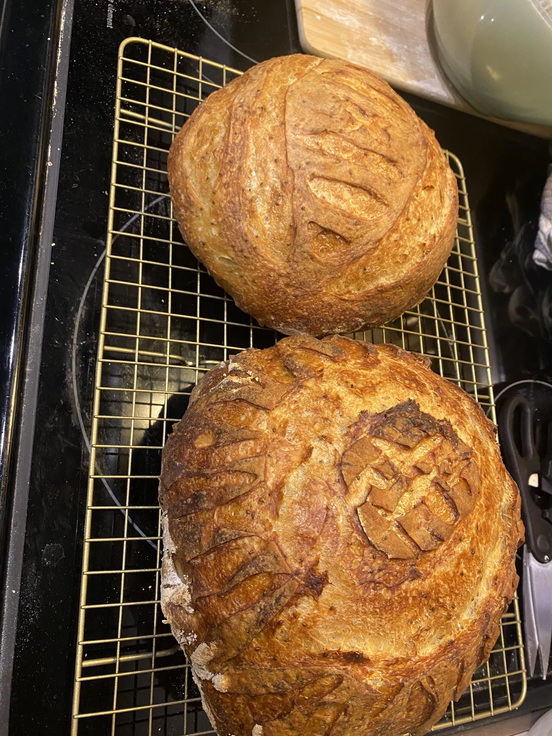 Todays loaves | Scrolller
