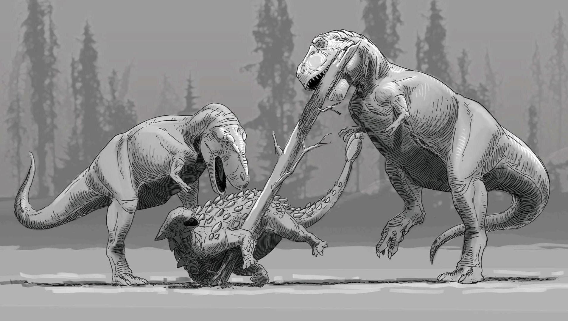 Tyrannosaurus Vs. Ankylosaurus - Speculative Tool Use Behavior | Scrolller Tyrannosaurus Vs. Ankylosaurus - Speculative Tool Use Behavior | Scrolller