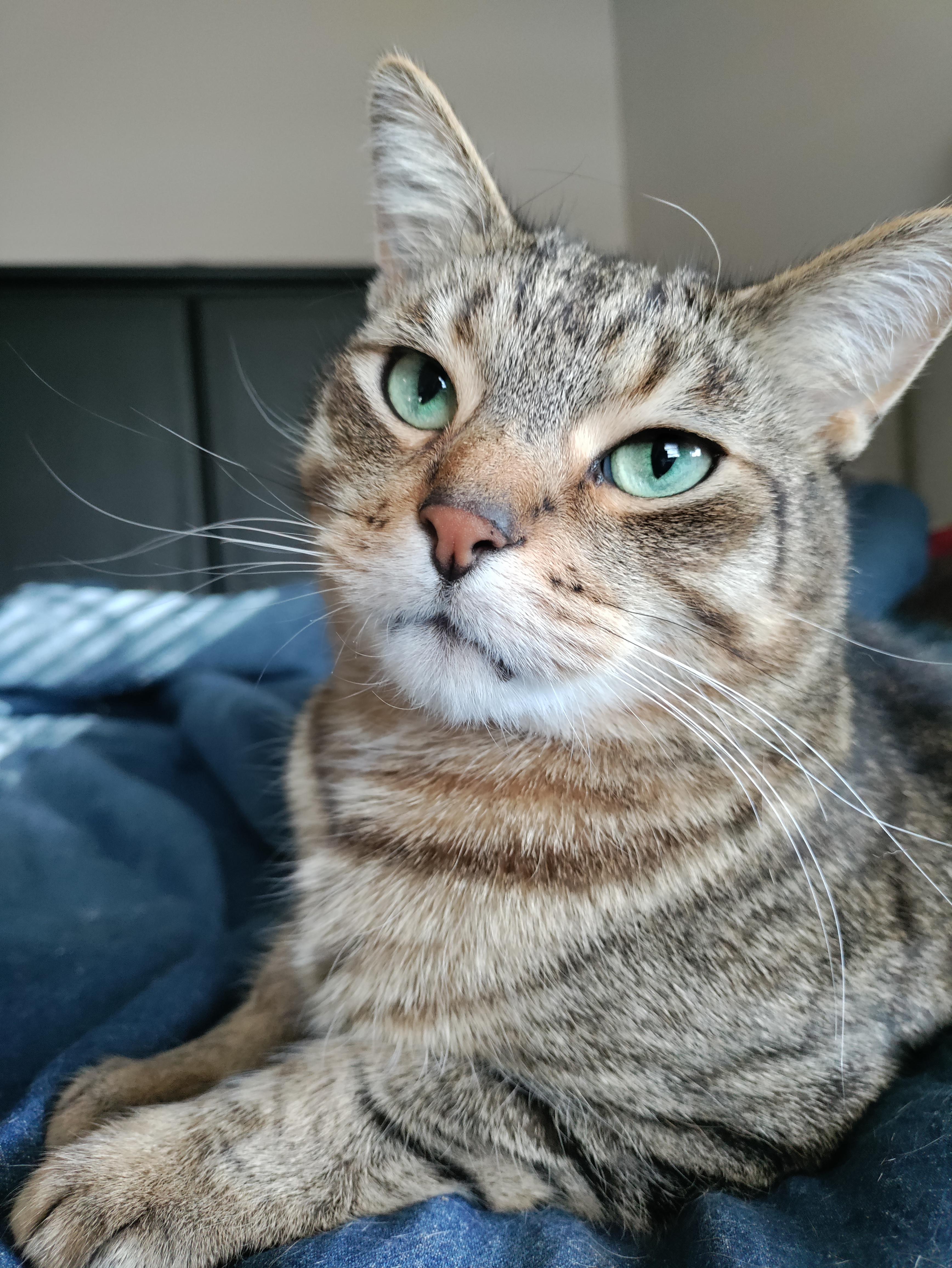 Johnathan | Scrolller