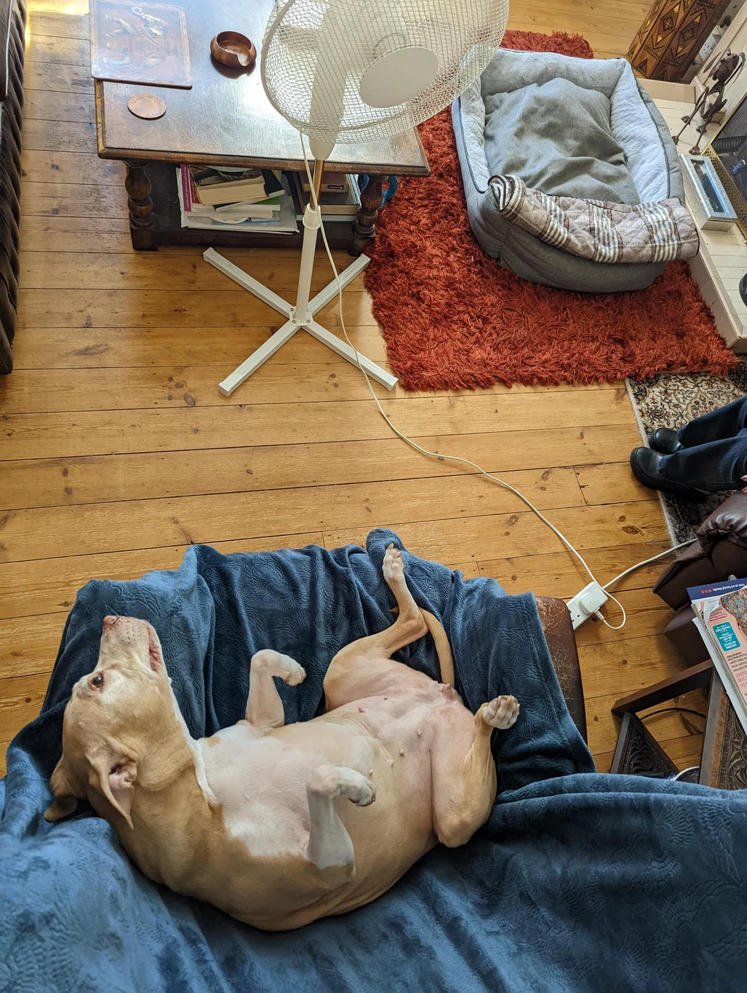 Just heatwave problems | Scrolller