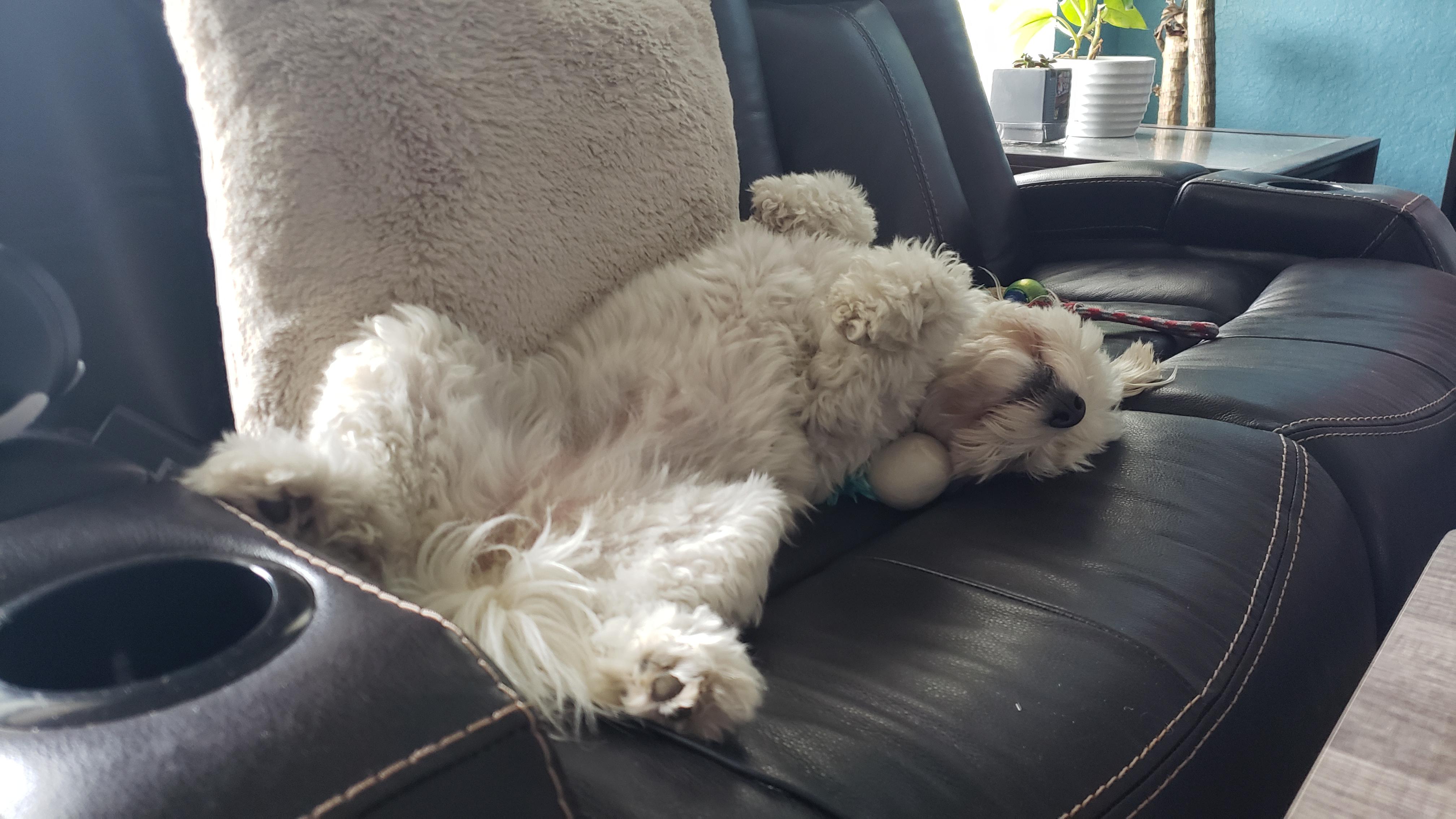 I just finished checking my P-Mail. | Scrolller