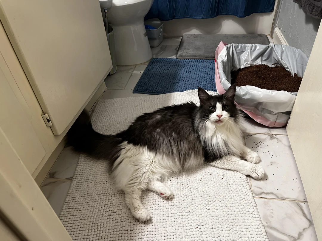 Senior lady | Scrolller