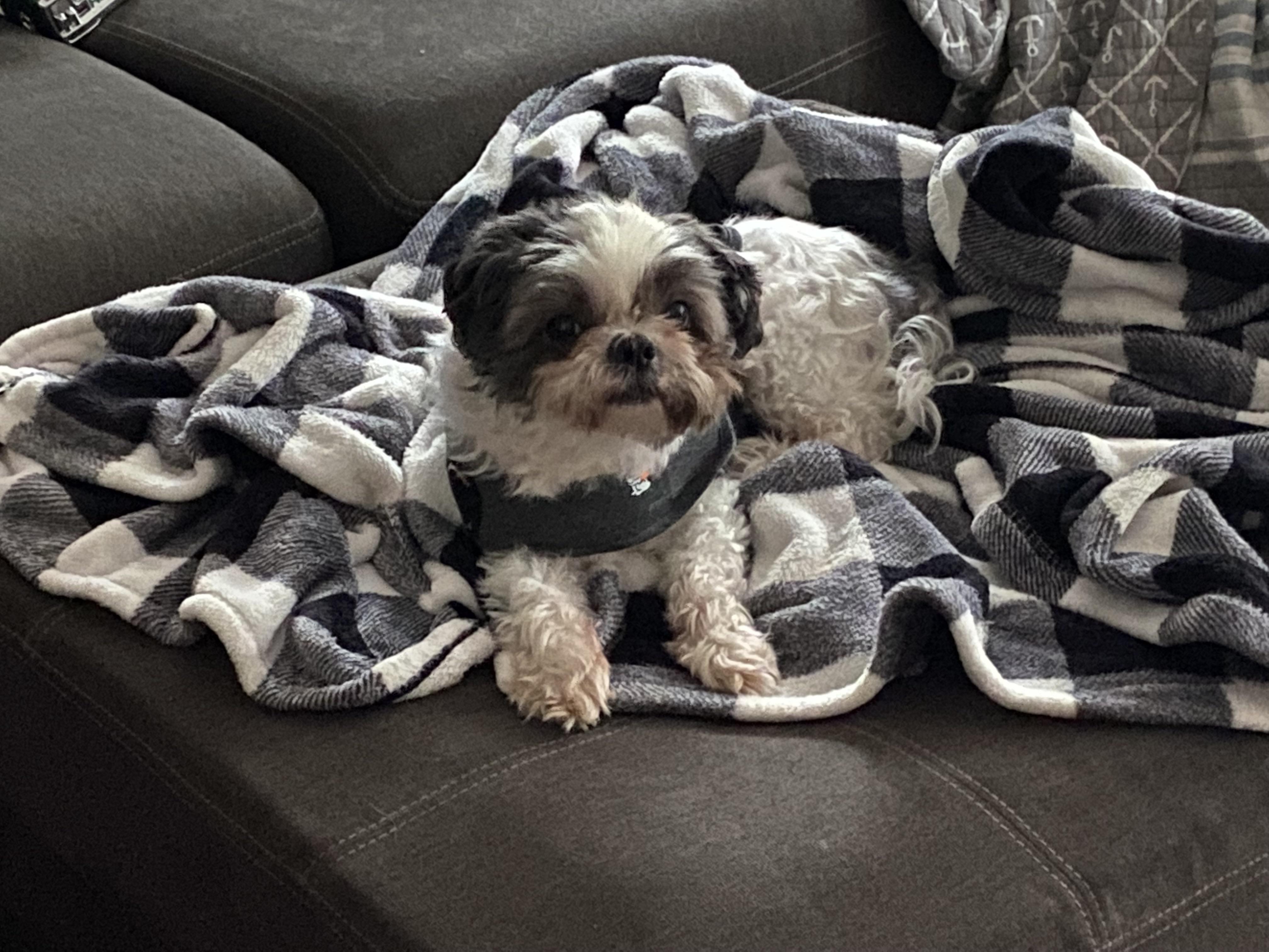 Dementia In My Buddy? | Scrolller