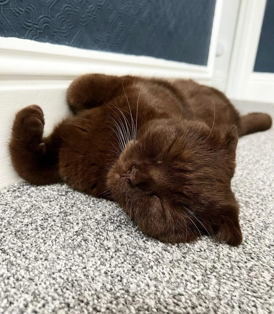 She is so quiet (OC) | Scrolller