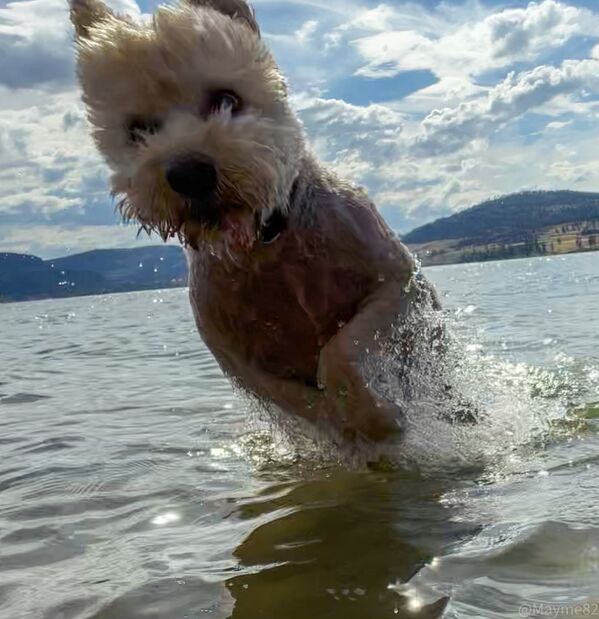 LOVING Summer! | Scrolller