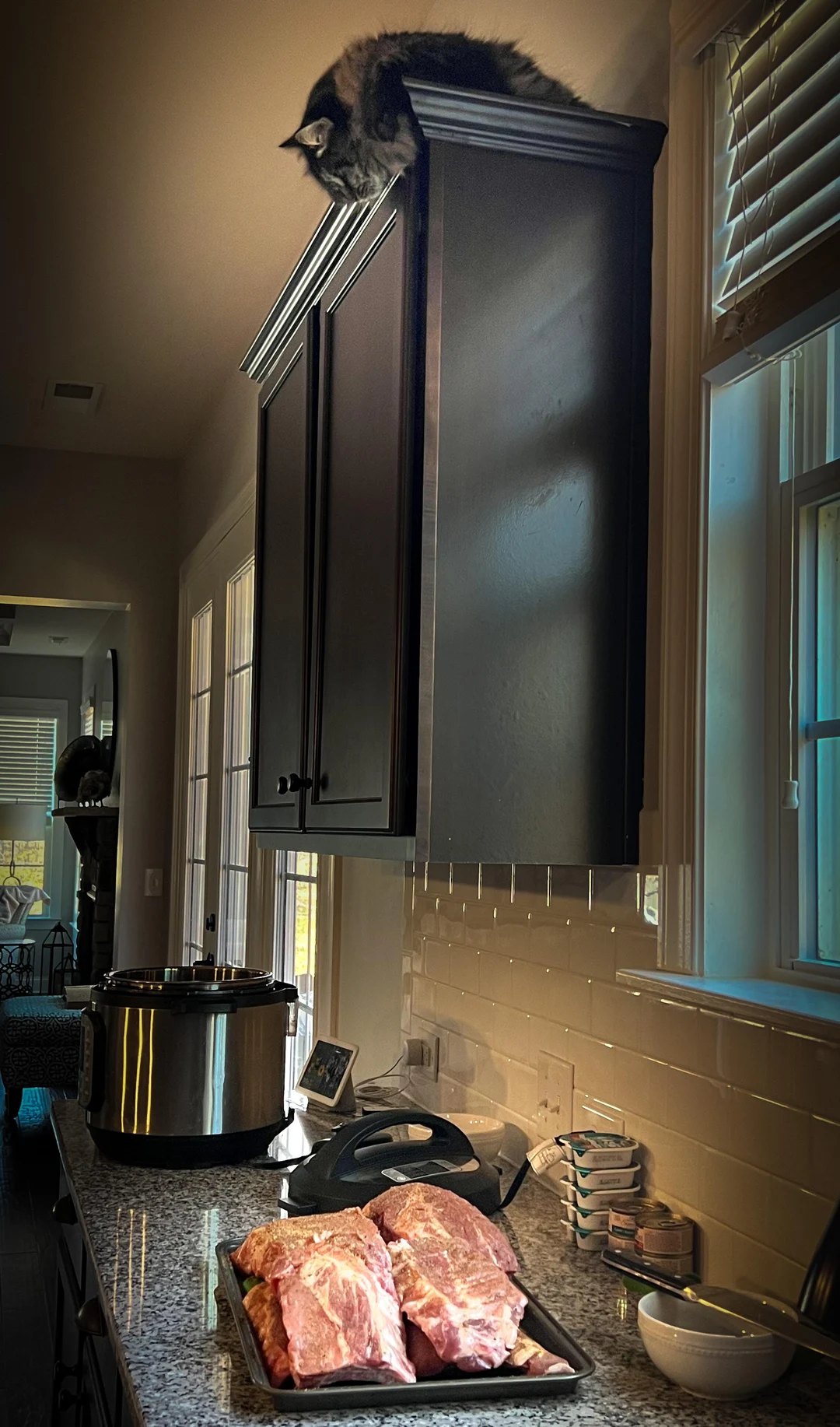 He hunts for some ribs | Scrolller