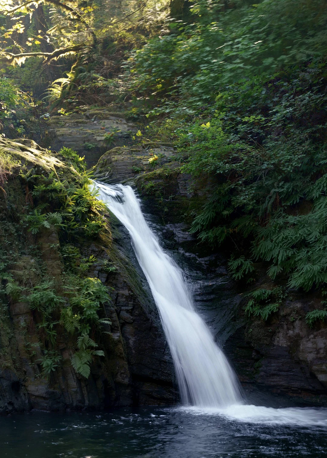 Waterfall around Victoria, BC [3660x5125] [OC] | Scrolller