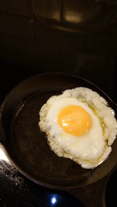 Lodge in action | Scrolller