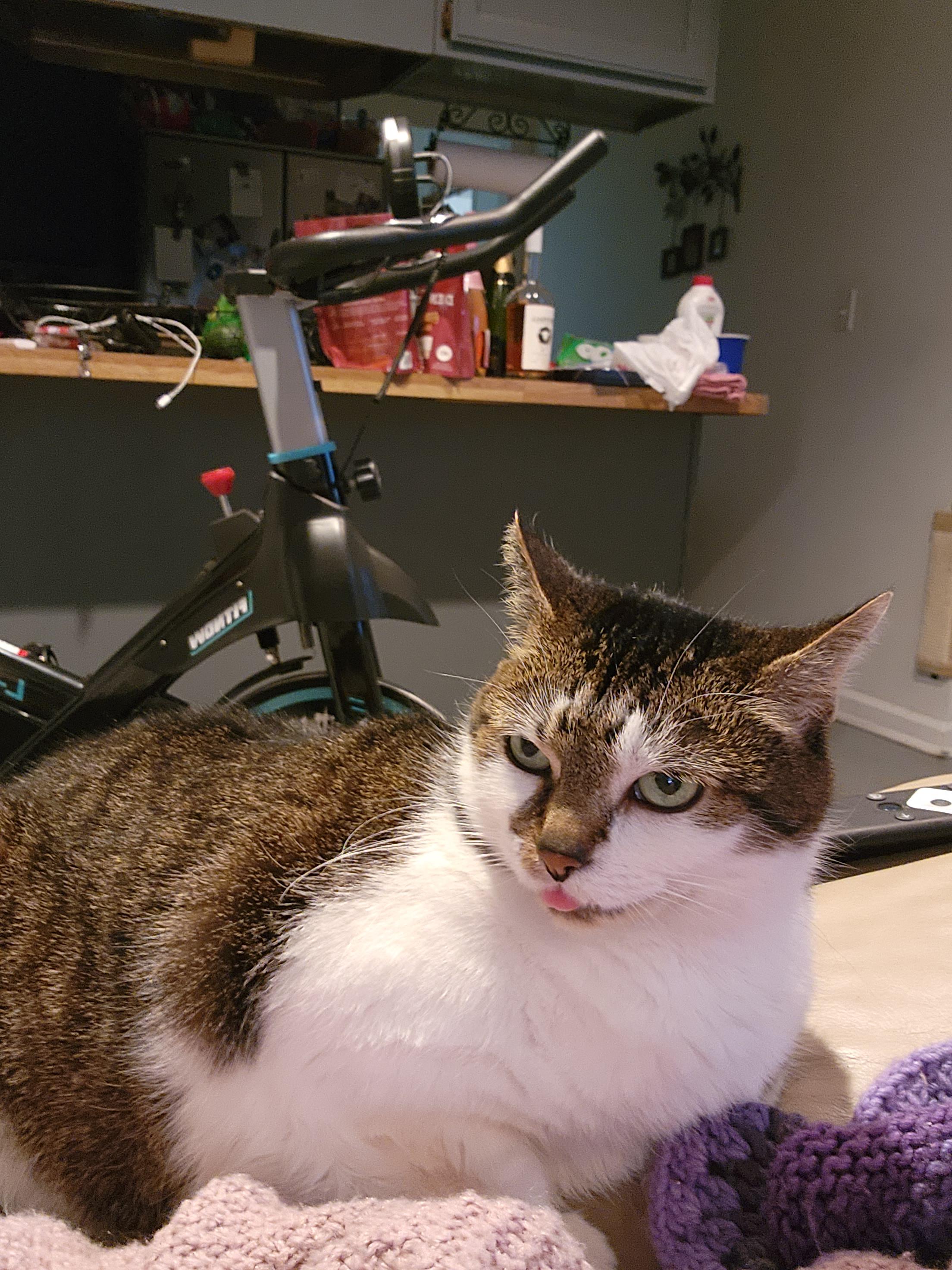 Old lady blep | Scrolller