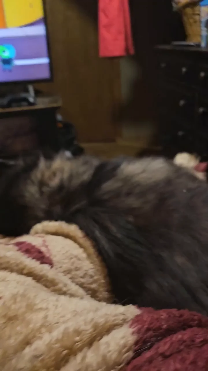 She is out cold | Scrolller