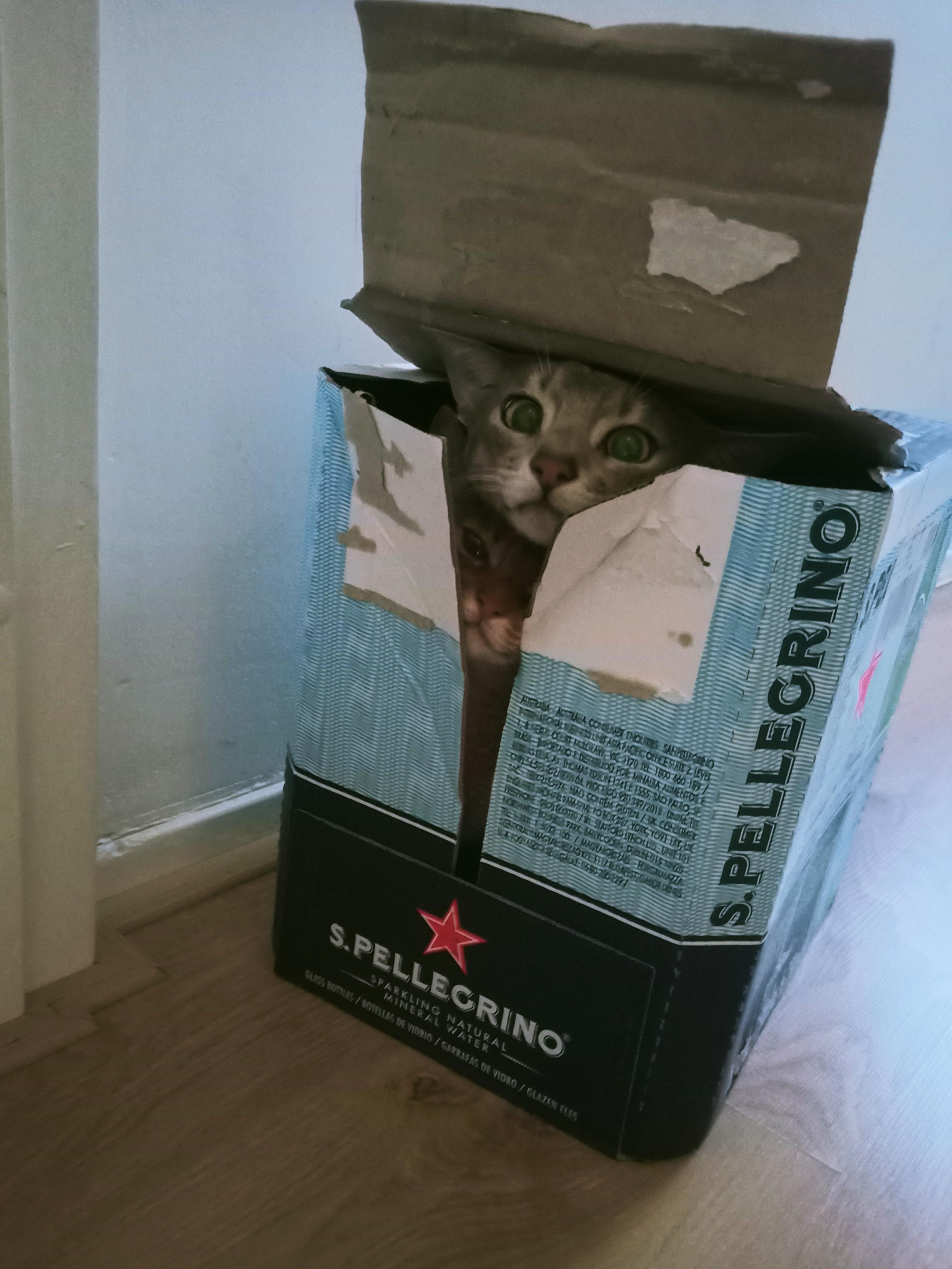 [OC] Safe to say that the owner of this box has won the jackpot | Scrolller