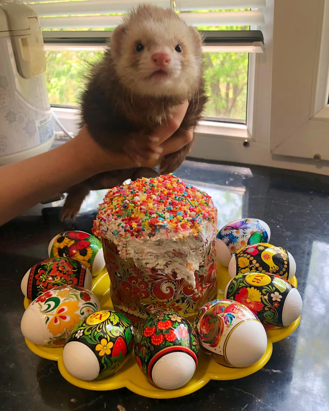 Here is the kind of greeting that was for Easter | Scrolller