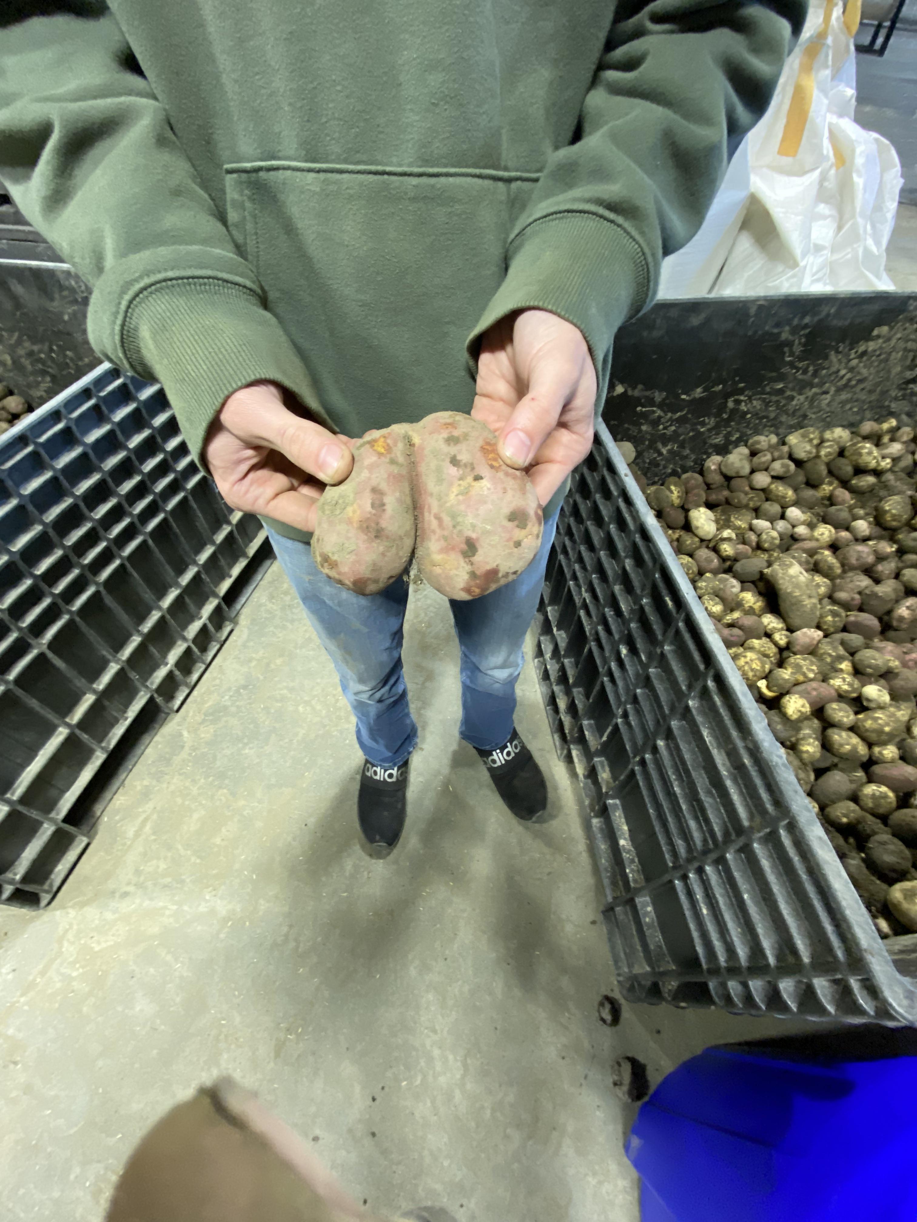 Creamy potato!! | Scrolller