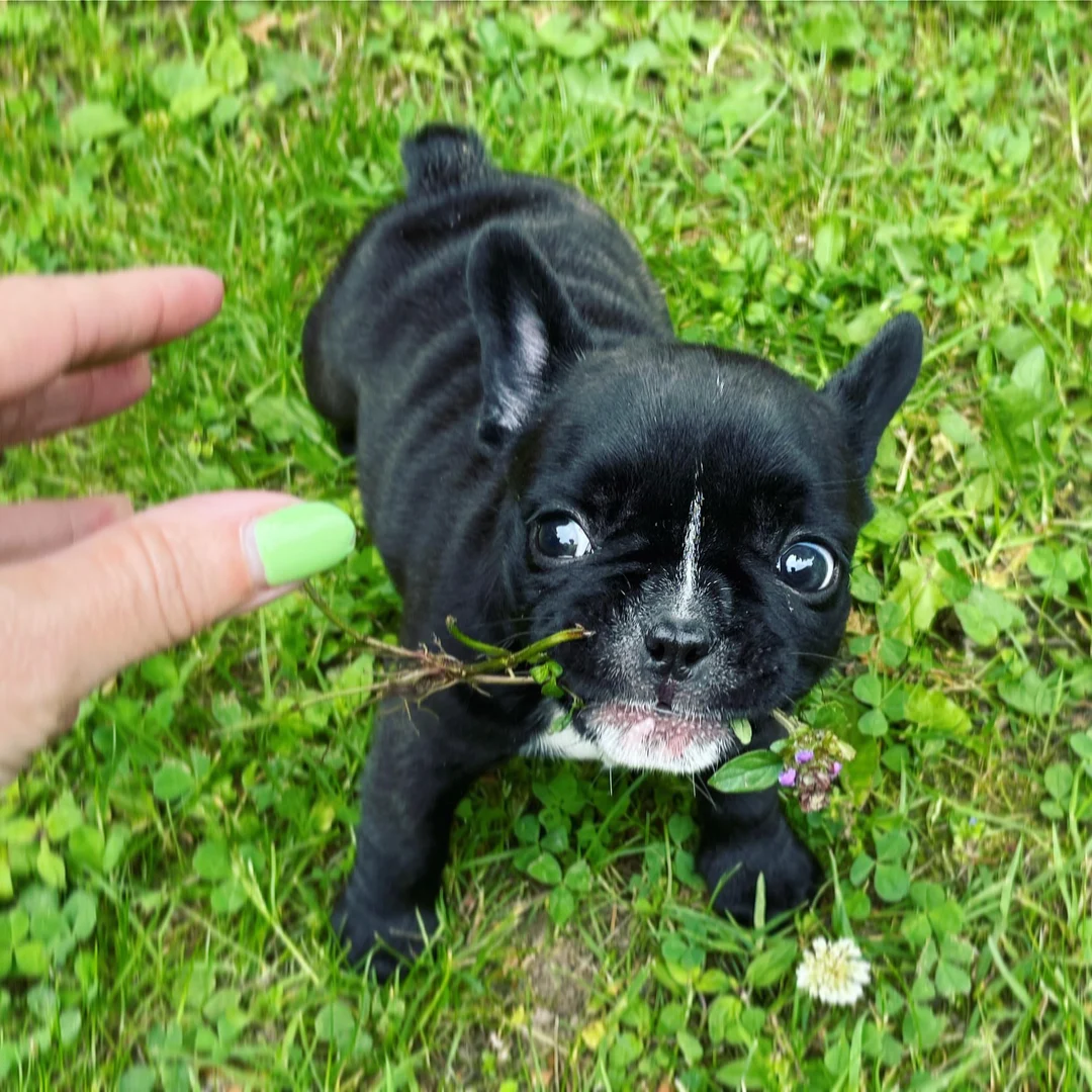 She woke up and chose violets | Scrolller