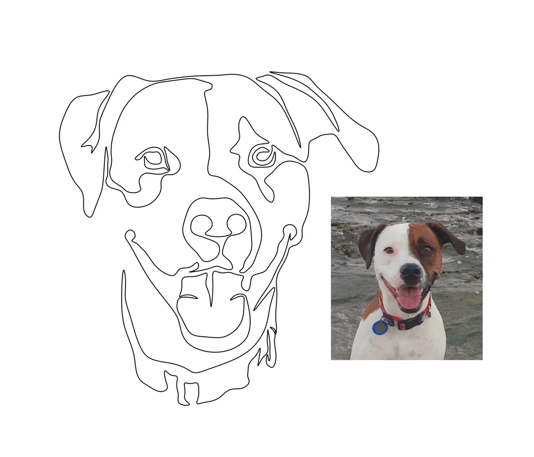 drawn by a solid continuous non-intersecting line... is it similar or not? | Scrolller