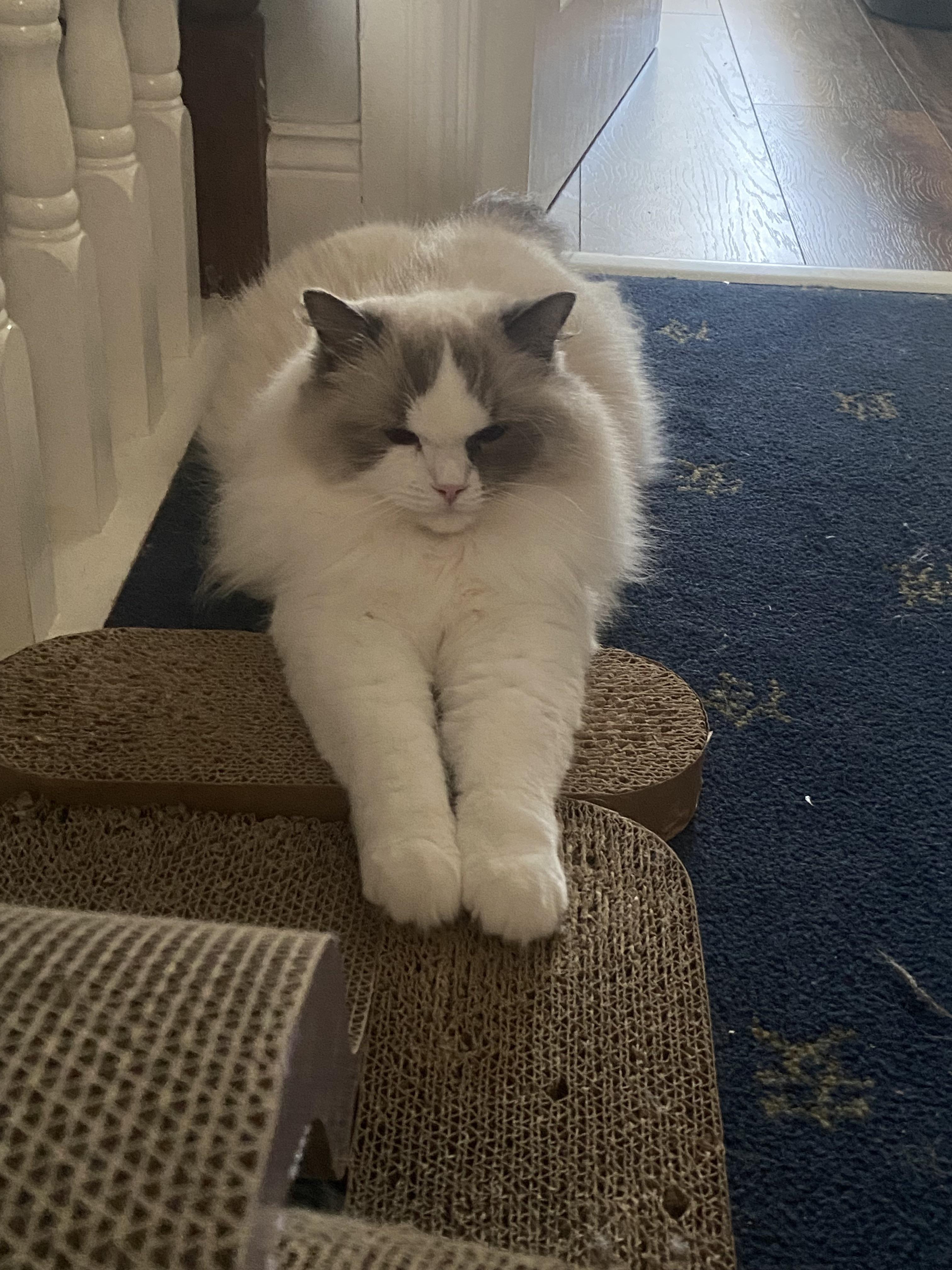 Discover more like Floof: She caught me spying on her. and Related Content | Scrolller