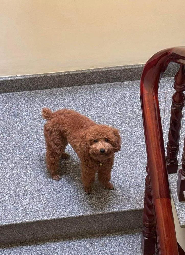 His face spells disappointment. | Scrolller