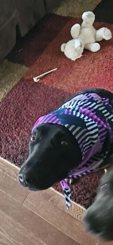 BABUSHKA | Scrolller