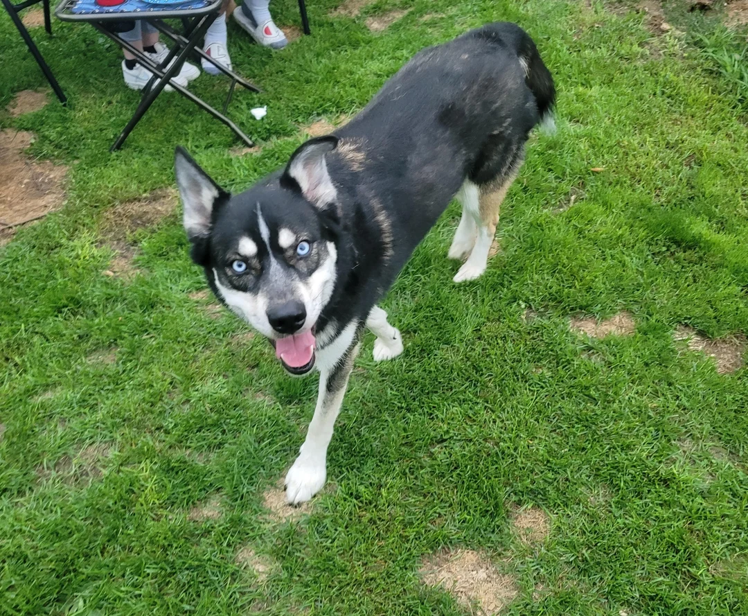 Training FTW | Scrolller